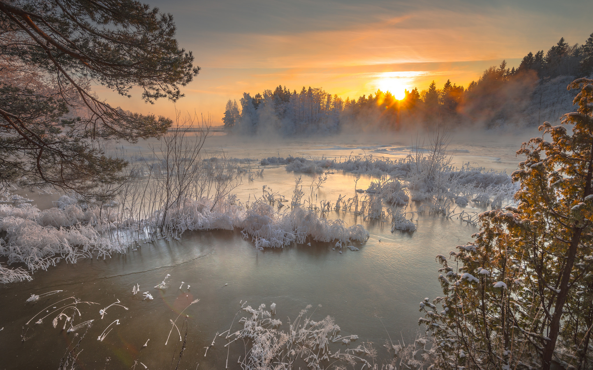 Download Sunrise Frozen Nature Fog Winter HD Wallpaper