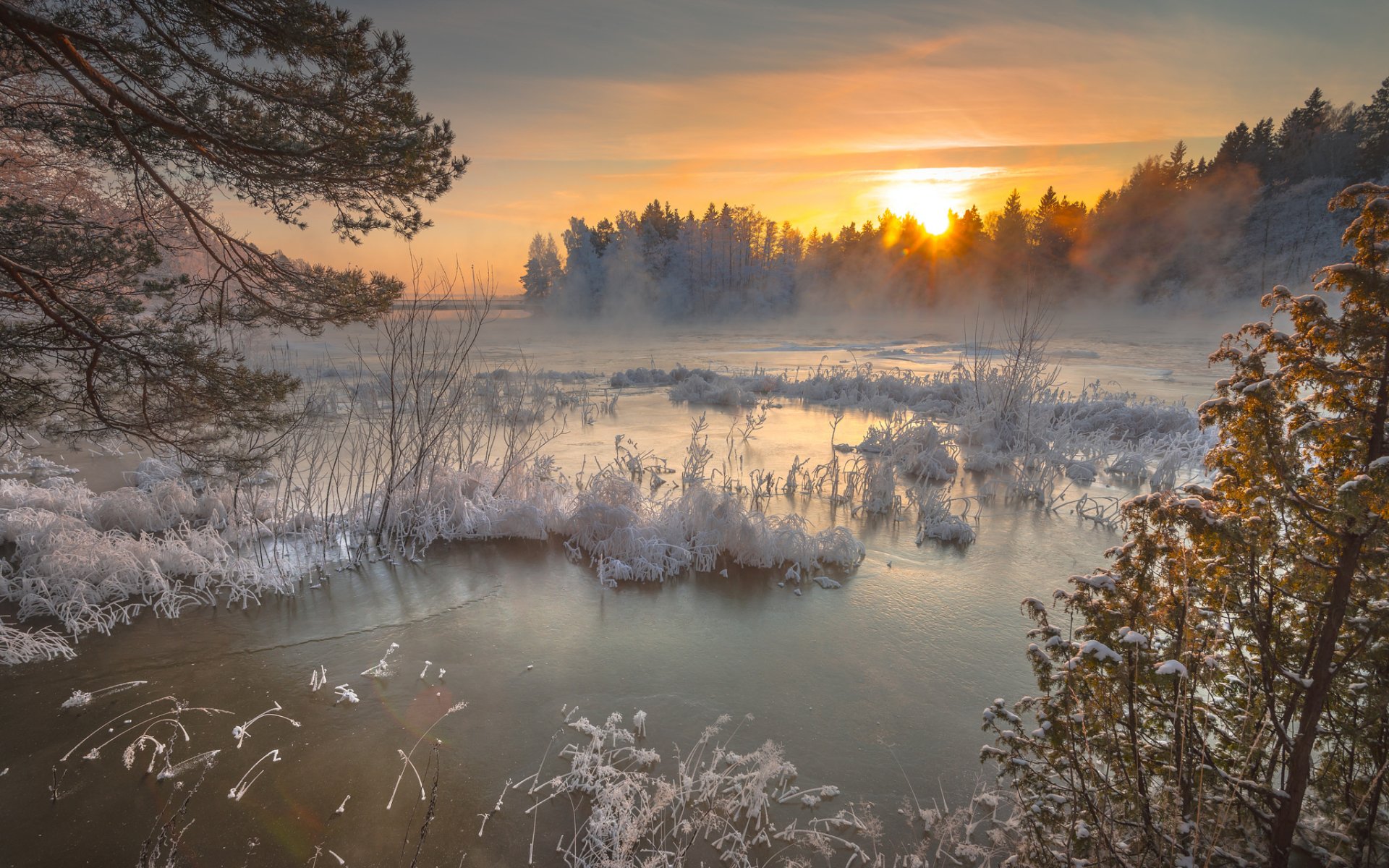 Frosted Dawn: Winter Fog Sunrise — HD Nature Wallpaper | 2048x1280 ...