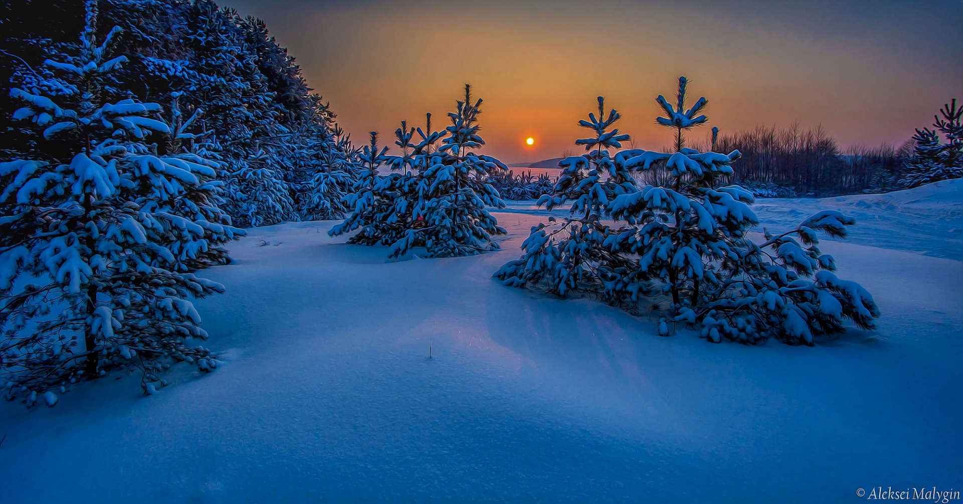 Winter Sunset Serenity: Snow-Covered Forest in HD by Aleksei Malygin ...