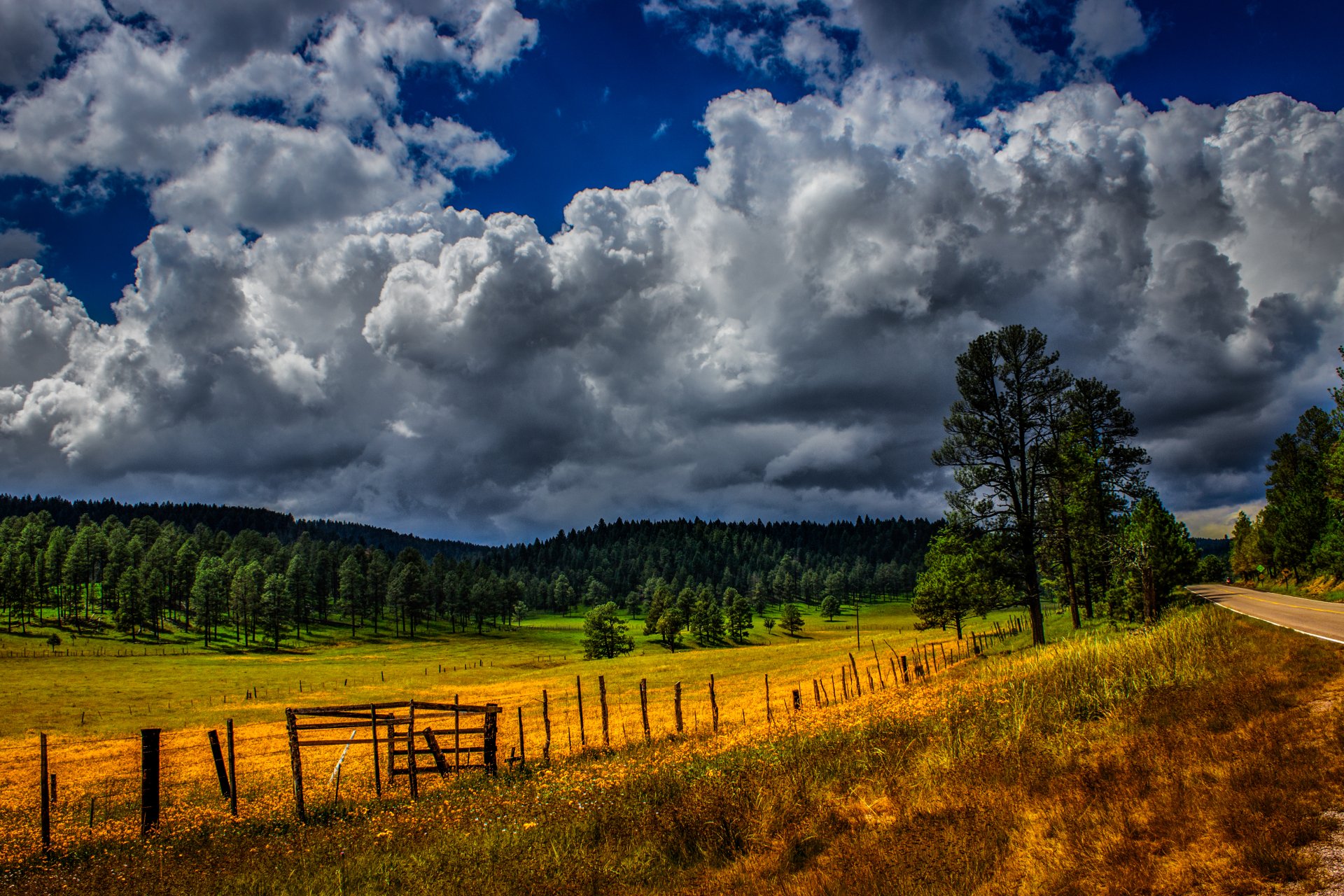 Download Tree Fence Field Cloud Earth Photography Landscape 4k Ultra HD ...