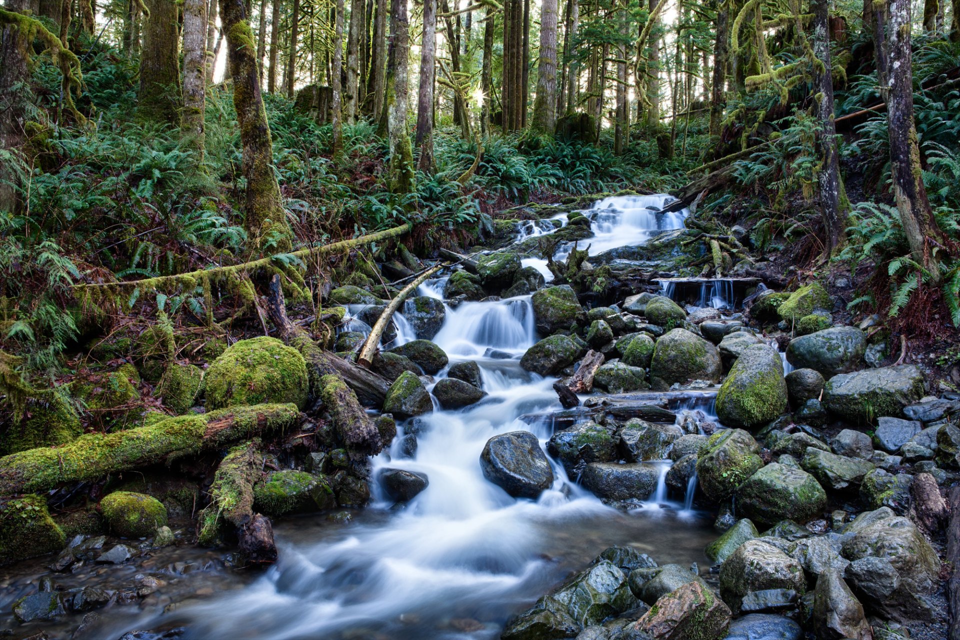 Nature Stream HD Wallpaper by Michael Matti