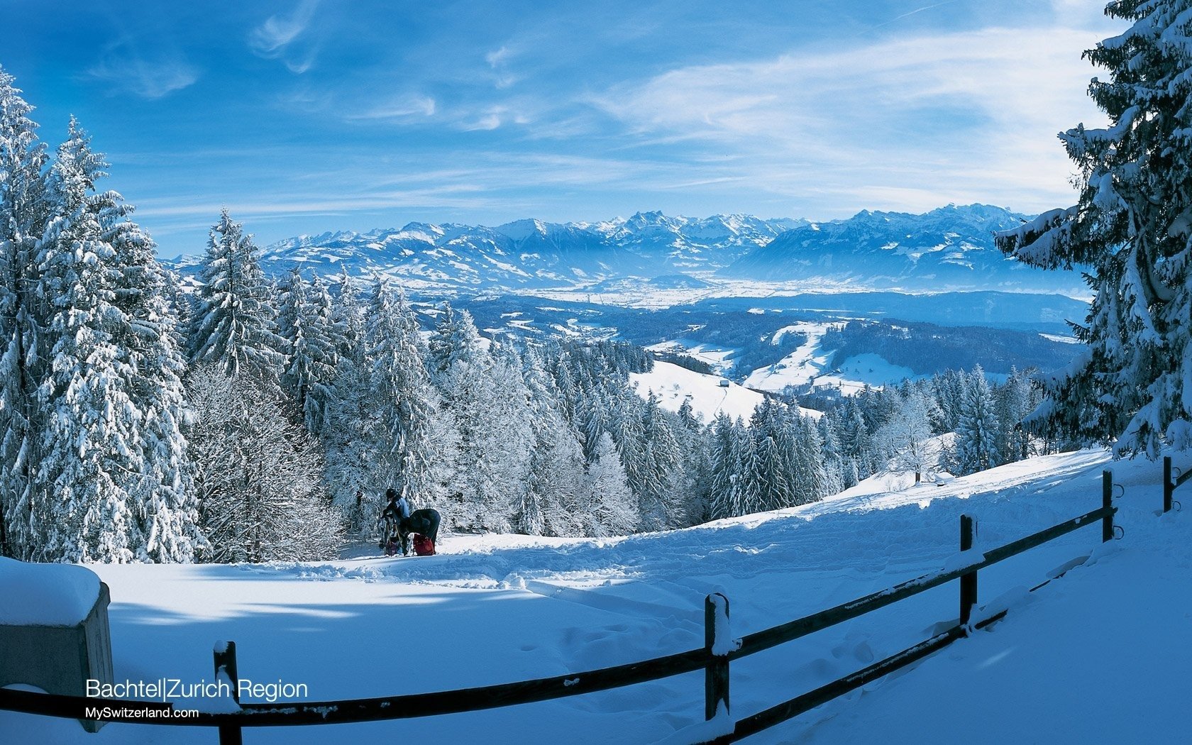 Download Forest Mountain Landscape Fence Switzerland Snow Earth ...