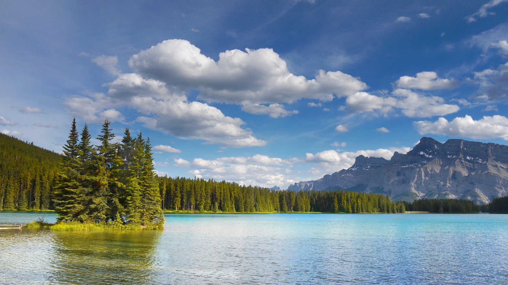 Download Forest Tree Mountain Nature Lake HD Wallpaper | 1920x1080 ...