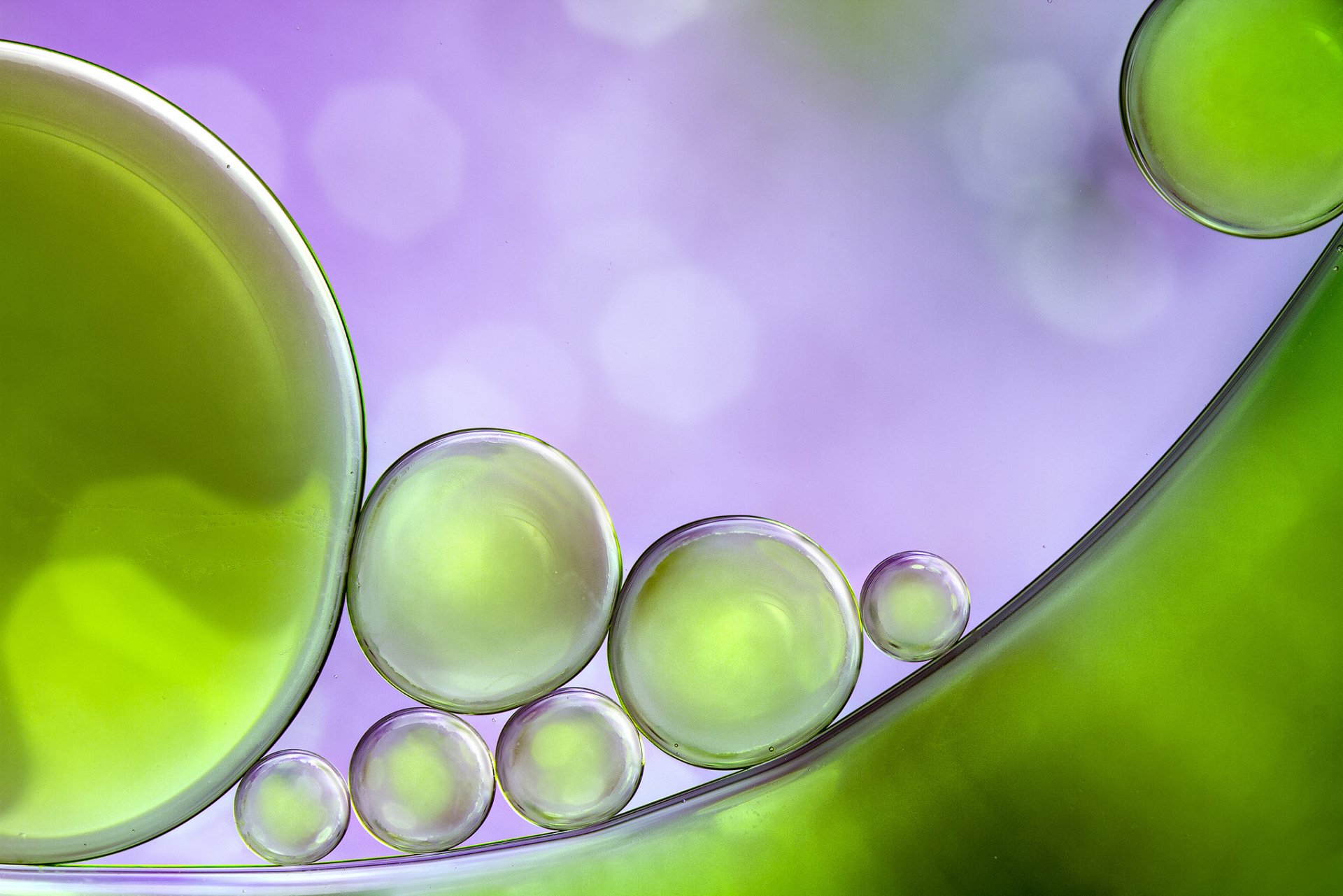 Download Bokeh Green Abstract Bubble Abstract Green HD Wallpaper