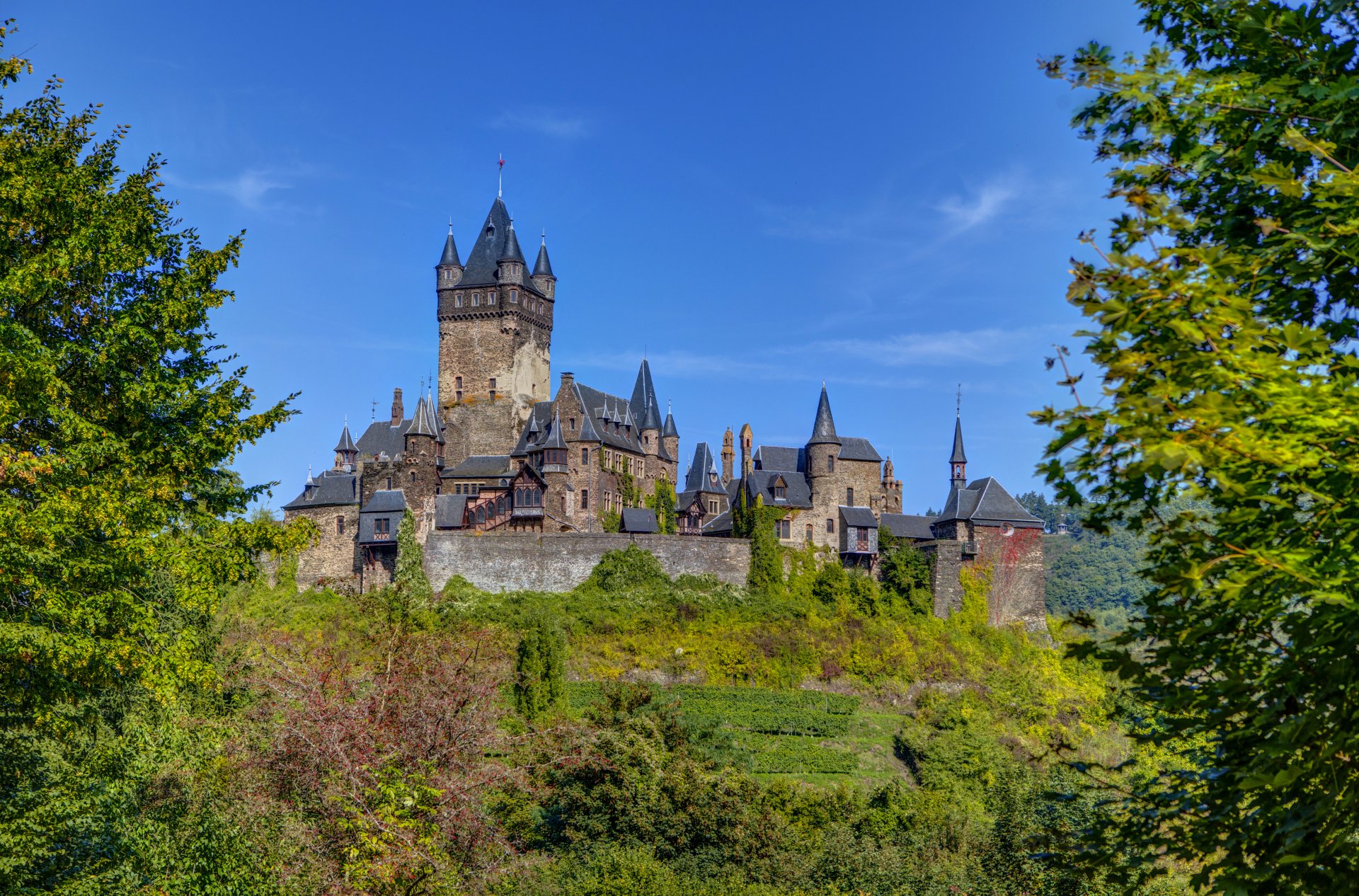 Cochem Castle Majesty: Stunning 4K Germany Fortress Amid Lush Bushes