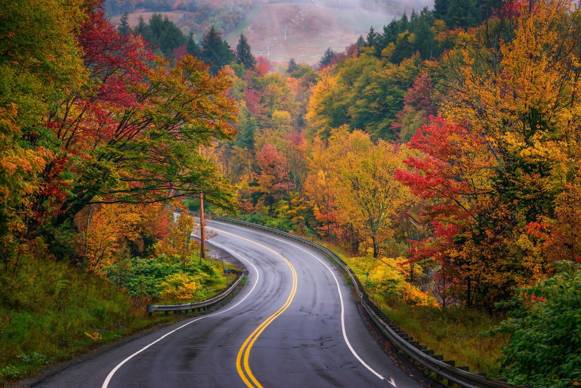 Autumn Journey: Winding Road Through Vibrant Fall Forest – HD Wallpaper