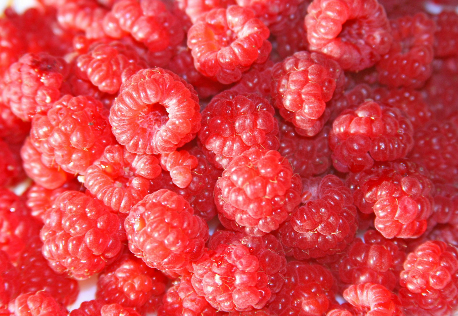 Food Raspberry HD Wallpaper