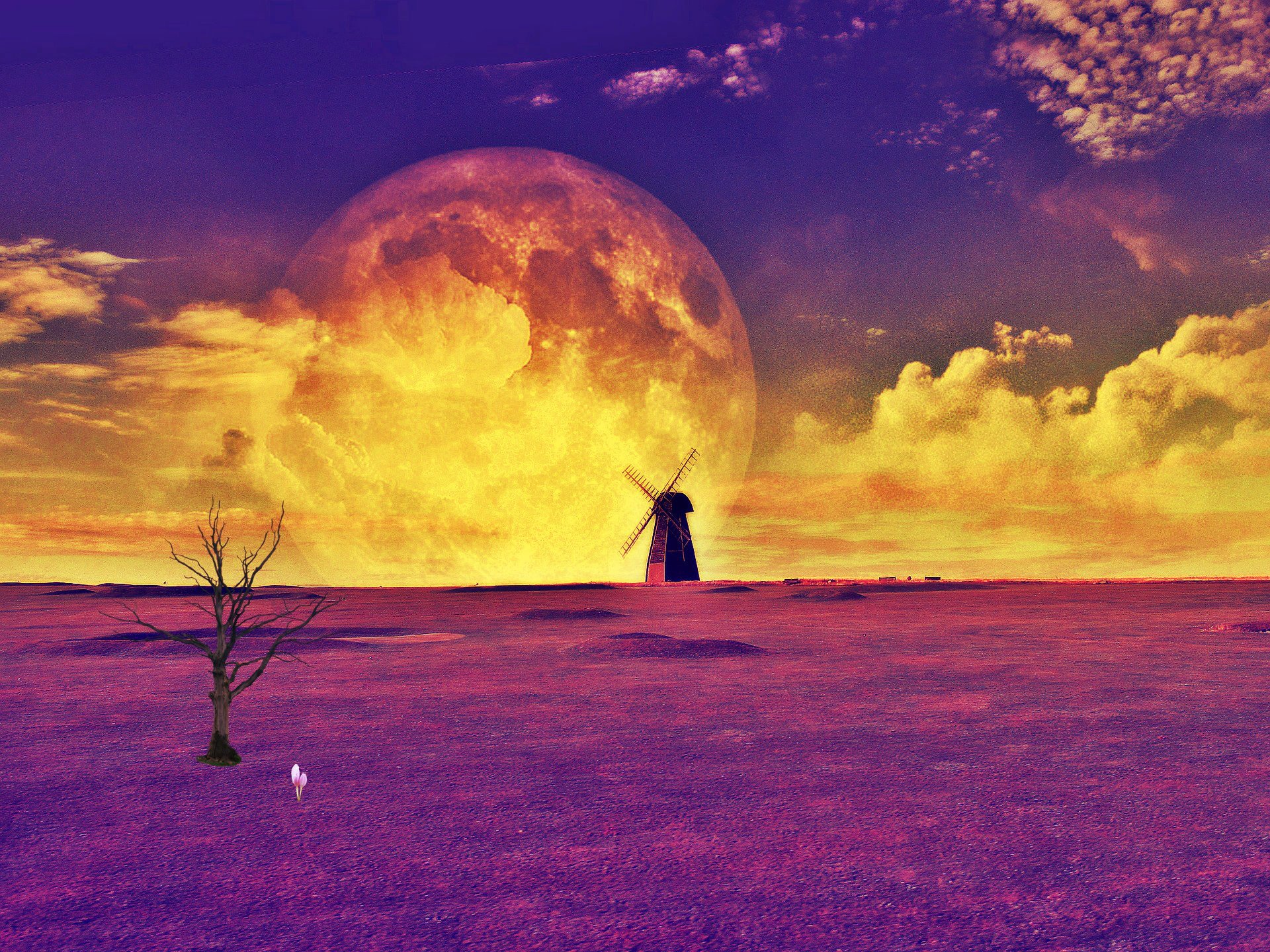 Download Planet Cloud Lavender Windmill Field Fantasy Landscape Fantasy ...