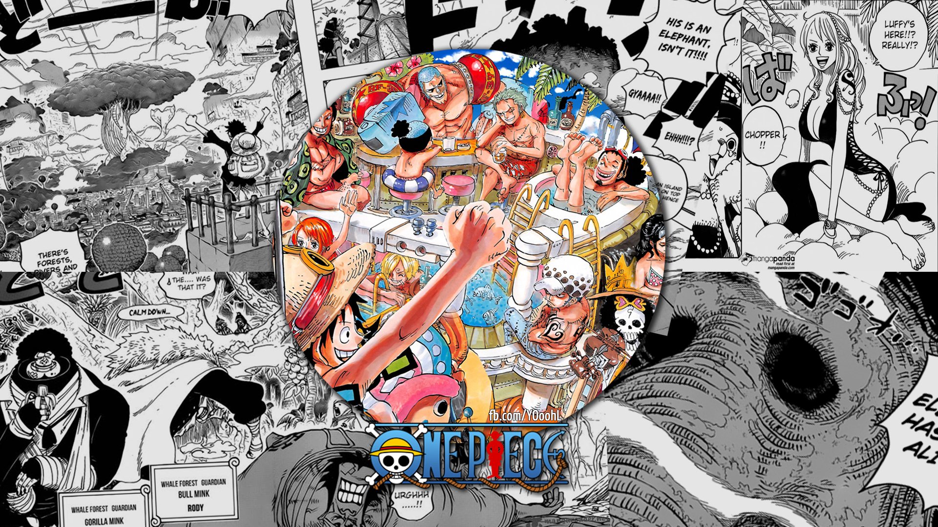 Vibrant One Piece HD Wallpaper Featuring Your Favorite Characters ...