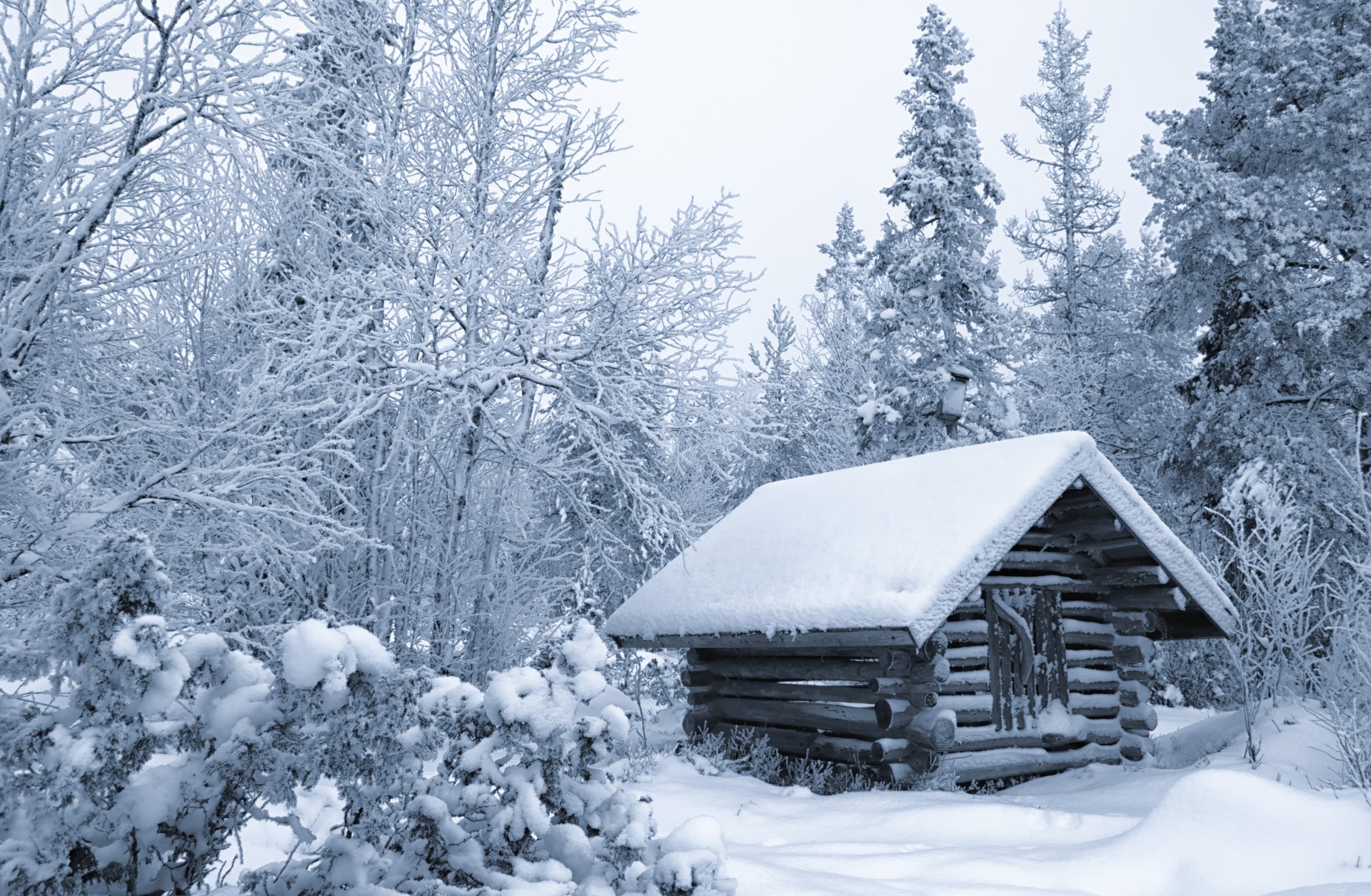 Winter Cabin Retreat: Snow-Covered Forest in 4K Ultra HD