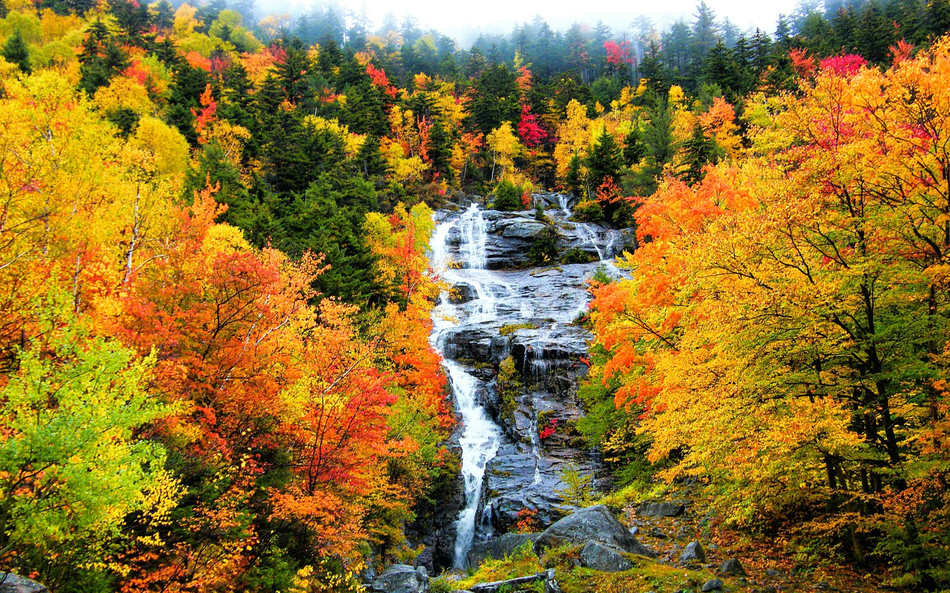 Download Fall Forest Nature Waterfall HD Wallpaper