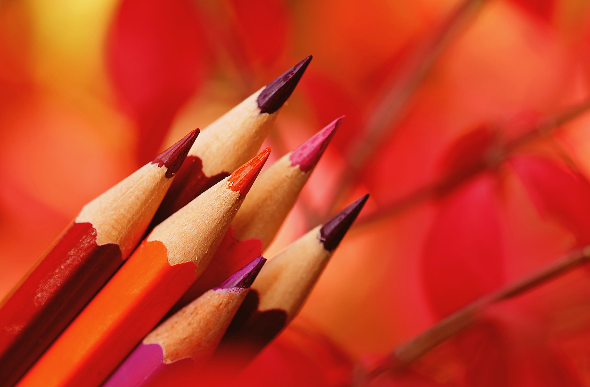 Download Colorful Close-up Colors Photography Pencil HD Wallpaper