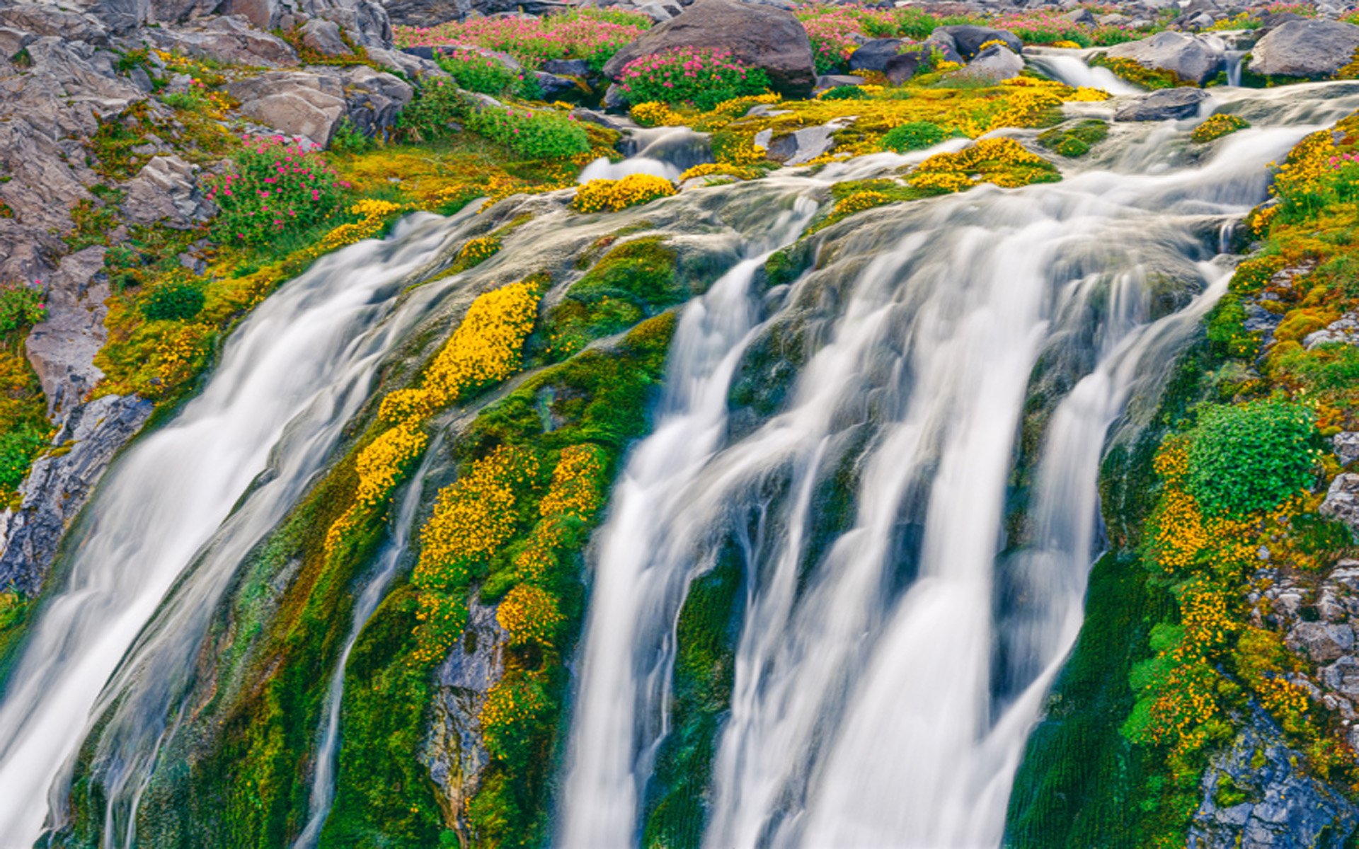 Download Spring Flower Nature Waterfall HD Wallpaper