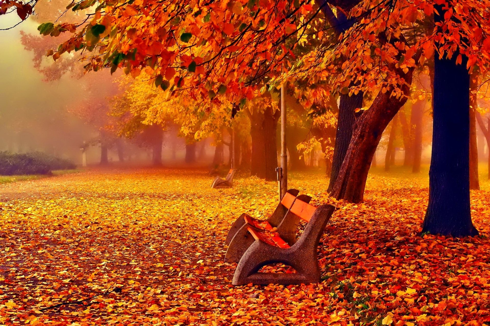 Download Tree Fall Park Man Made Bench HD Wallpaper