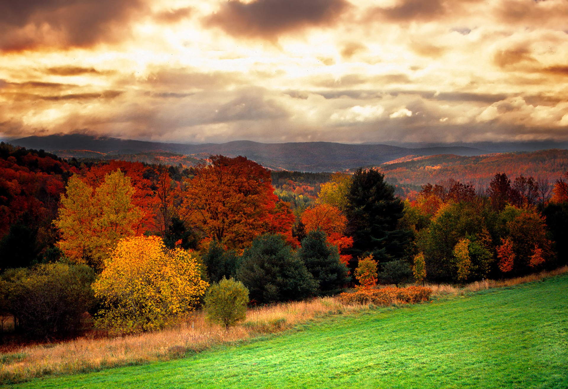 Autumn Majesty: HD Mountain Forest in Full Fall Splendor