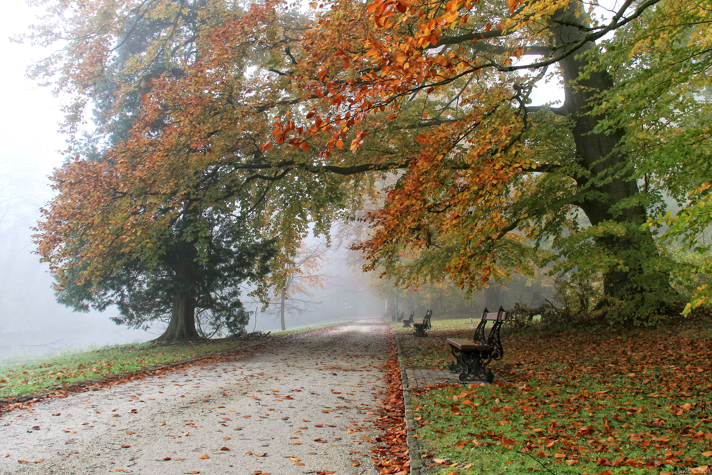 Serene Fall Park - HD Wallpaper