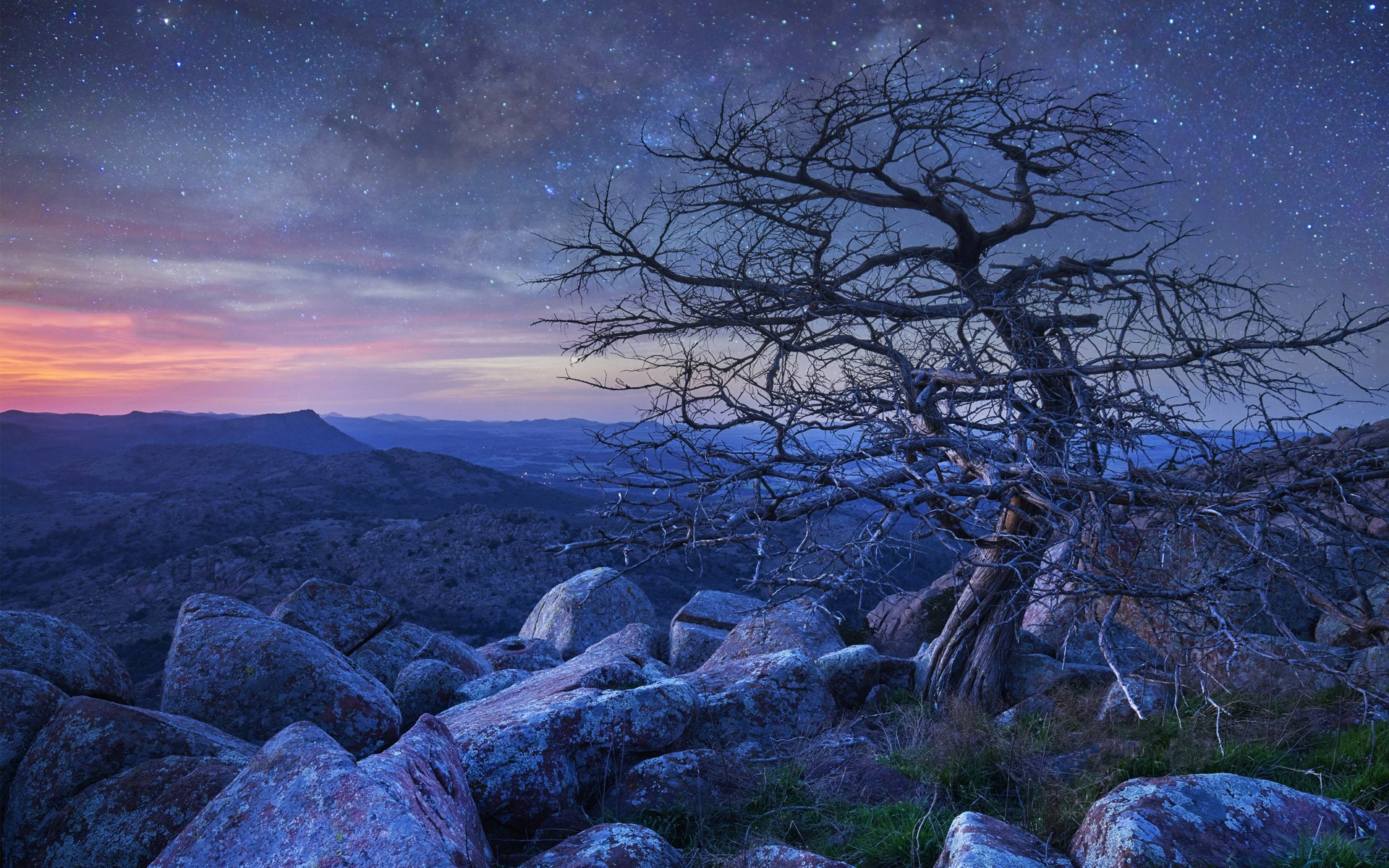 Download Horizon Starry Sky Star Twilight Mountain Nature Tree HD Wallpaper