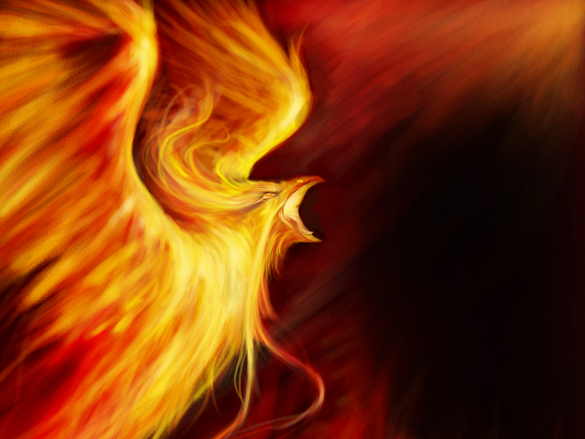 Download Fire Bird Fantasy Phoenix HD Wallpaper by Levente Rückert ...