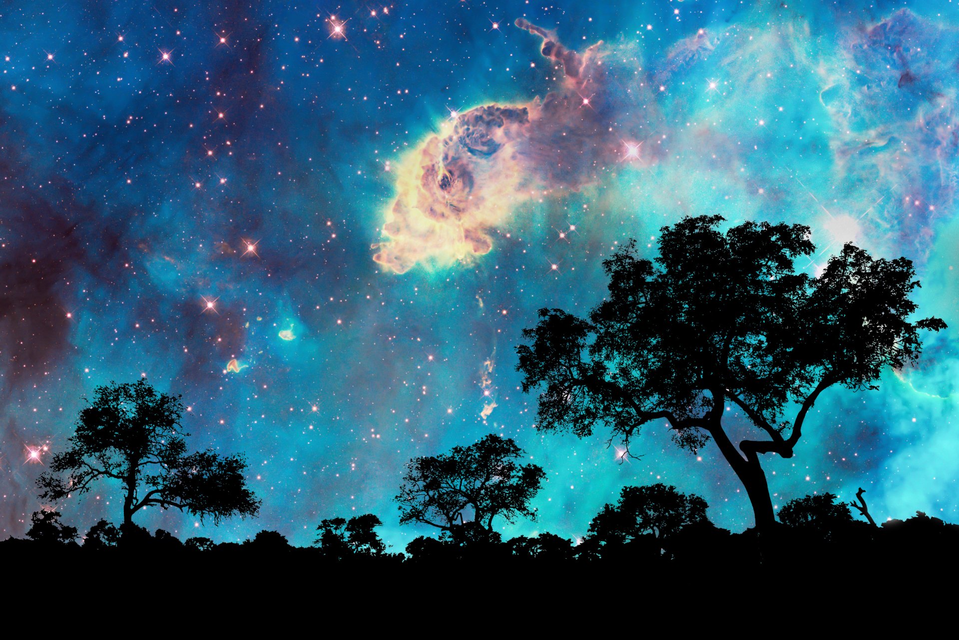 Celestial Trees: Nighttime Nebula HD Wallpaper