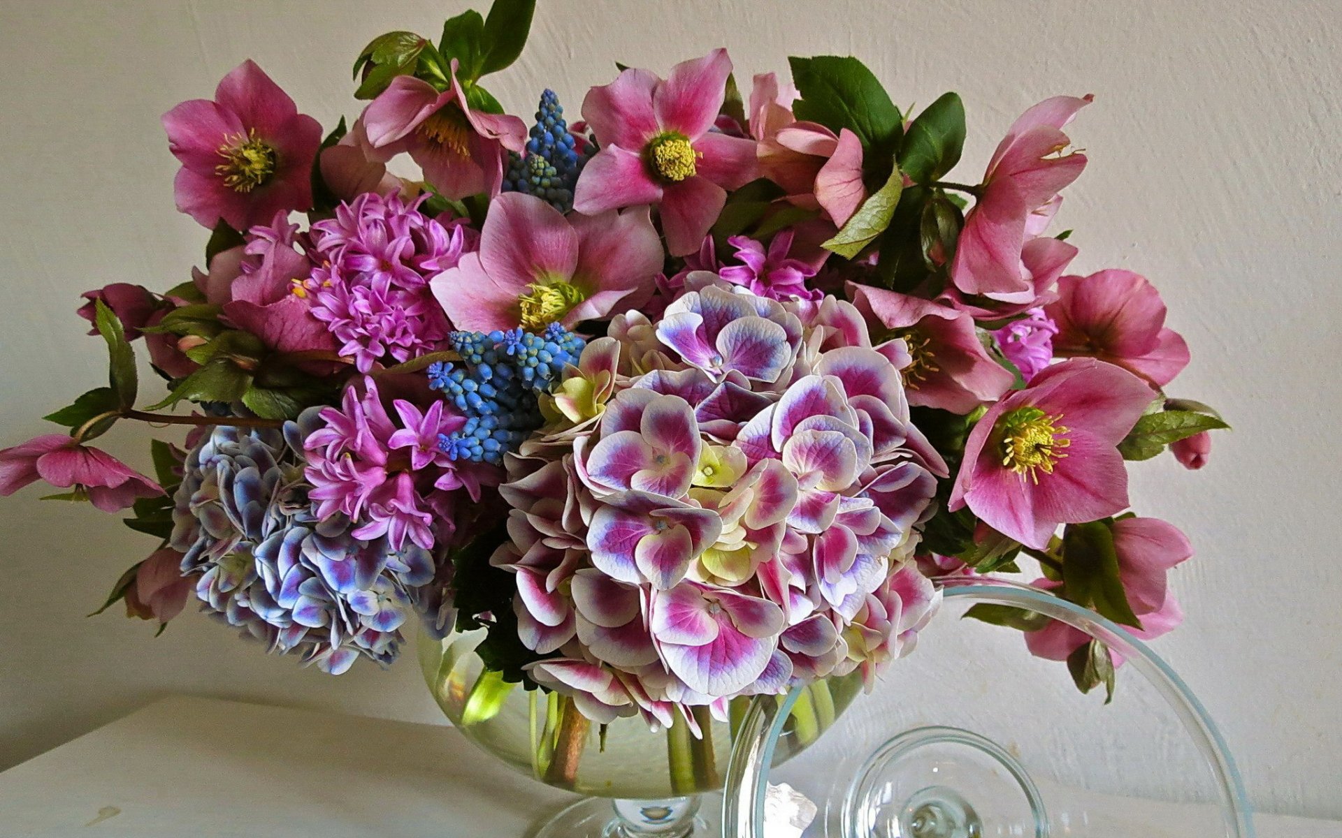 Download Pink Flower Hydrangea Glass Bowl Colorful Colors Flower ...