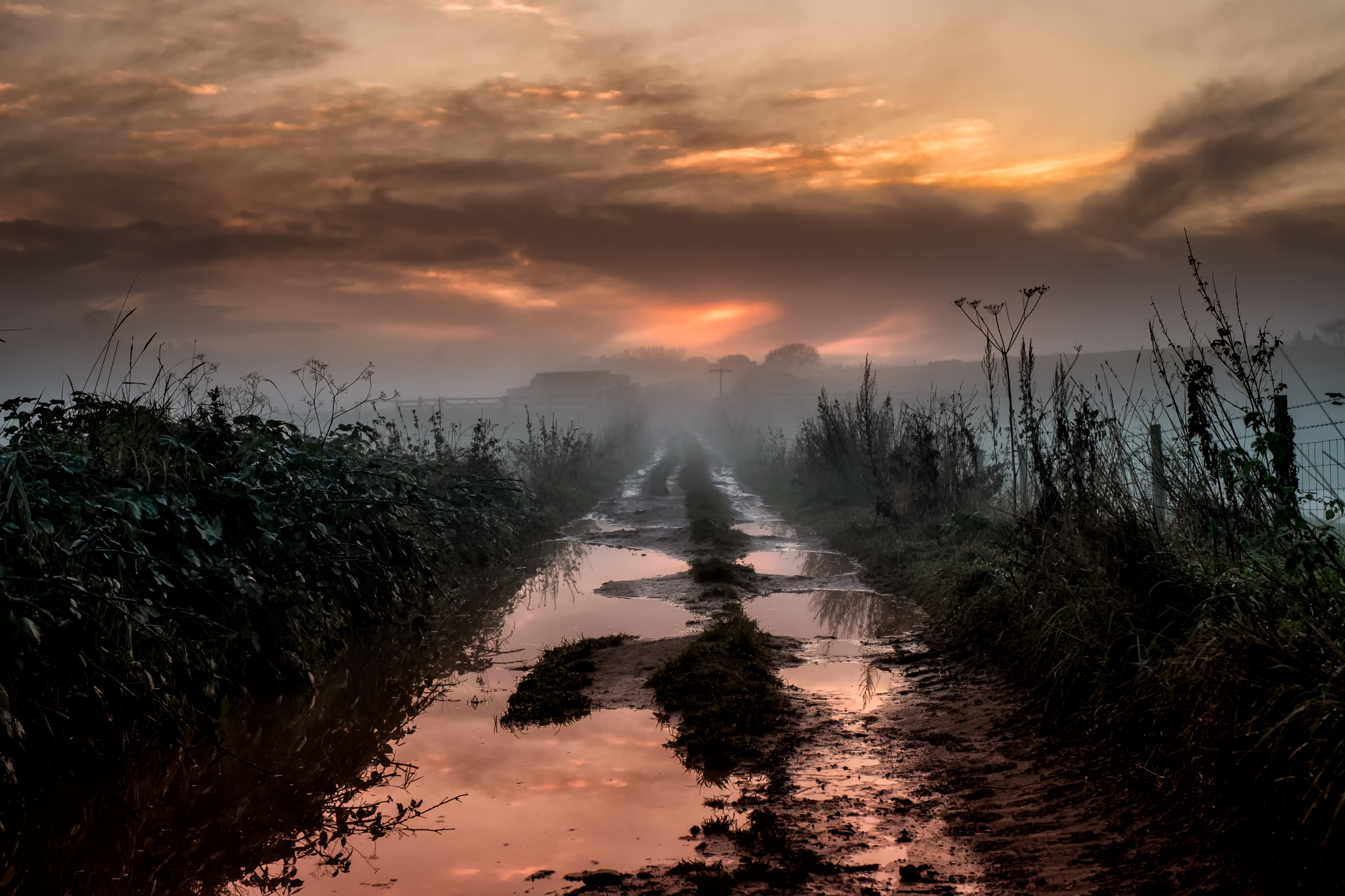 Misty Dawn on a Rugged Dirt Road – 4K Ultra HD Nature Path Wallpaper