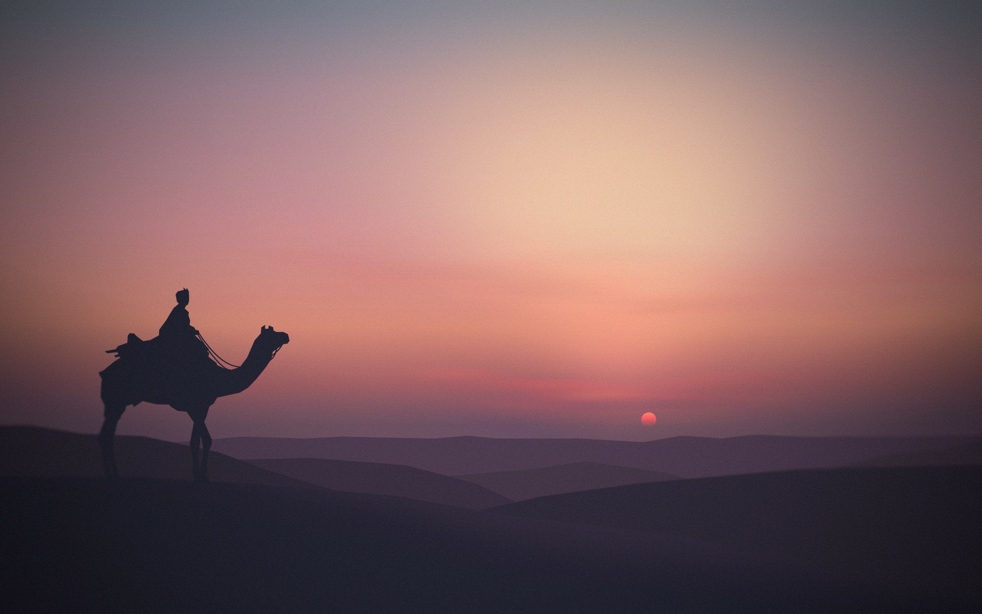 Desert Silhouette: Camel Trek at Horizon HD Wallpaper