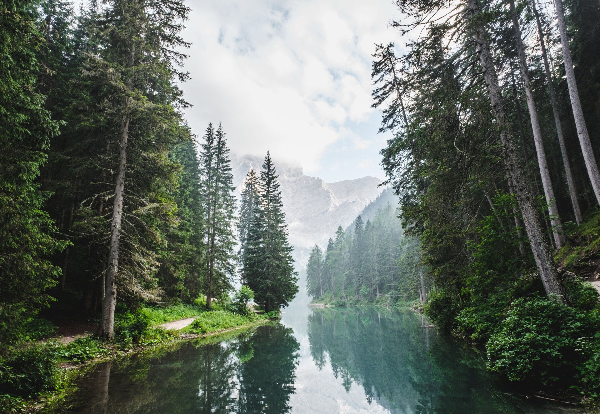 Download Tree Reflection Nature River 4k Ultra HD Wallpaper | 4561x3148 ...