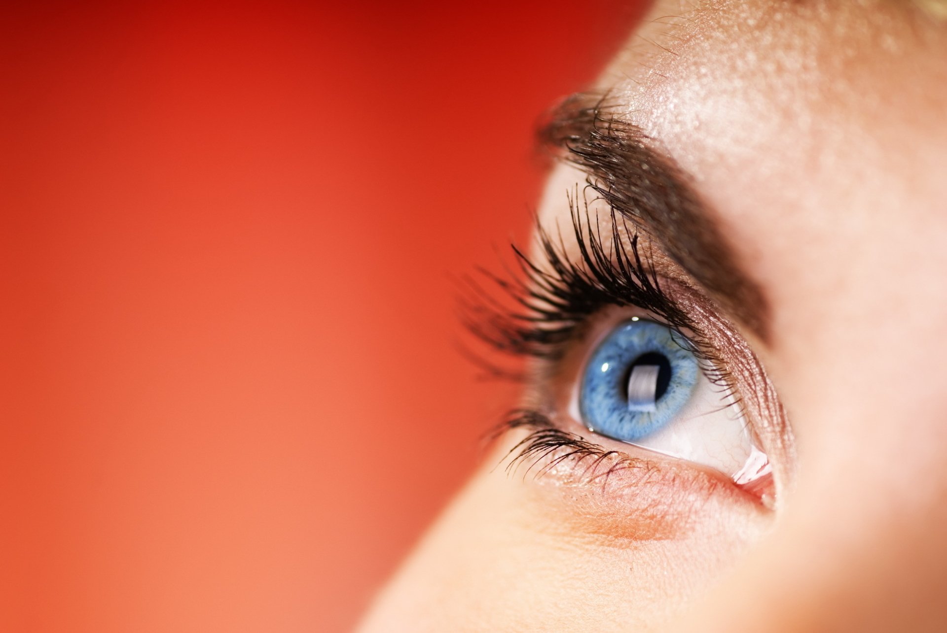 Women Eye HD Wallpaper