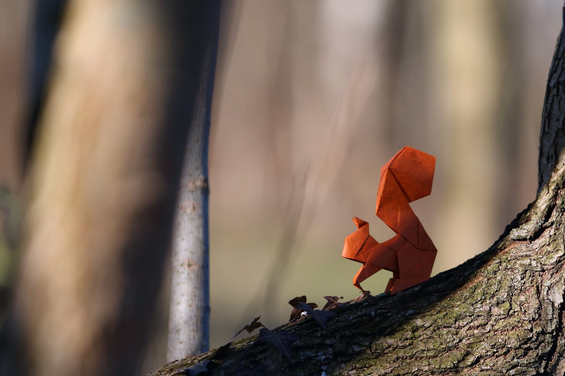Download Blur Squirrel Man Made Origami 4k Ultra HD Wallpaper
