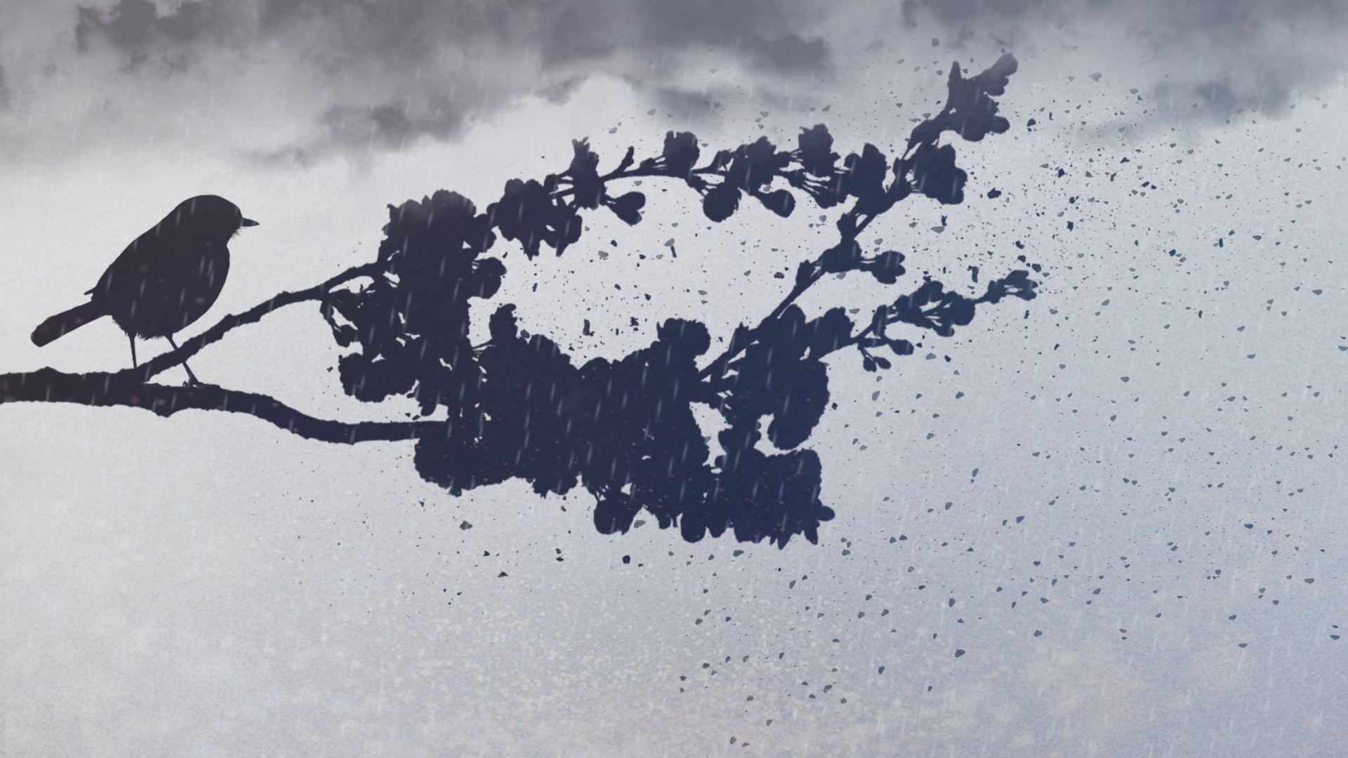 Stormy Flight: Birds on a Rain-Soaked Branch in the Wind by adoreth ...