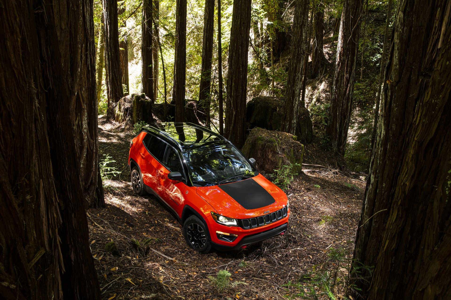 Download SUV Car Forest Jeep Vehicle Jeep Trailhawk HD Wallpaper