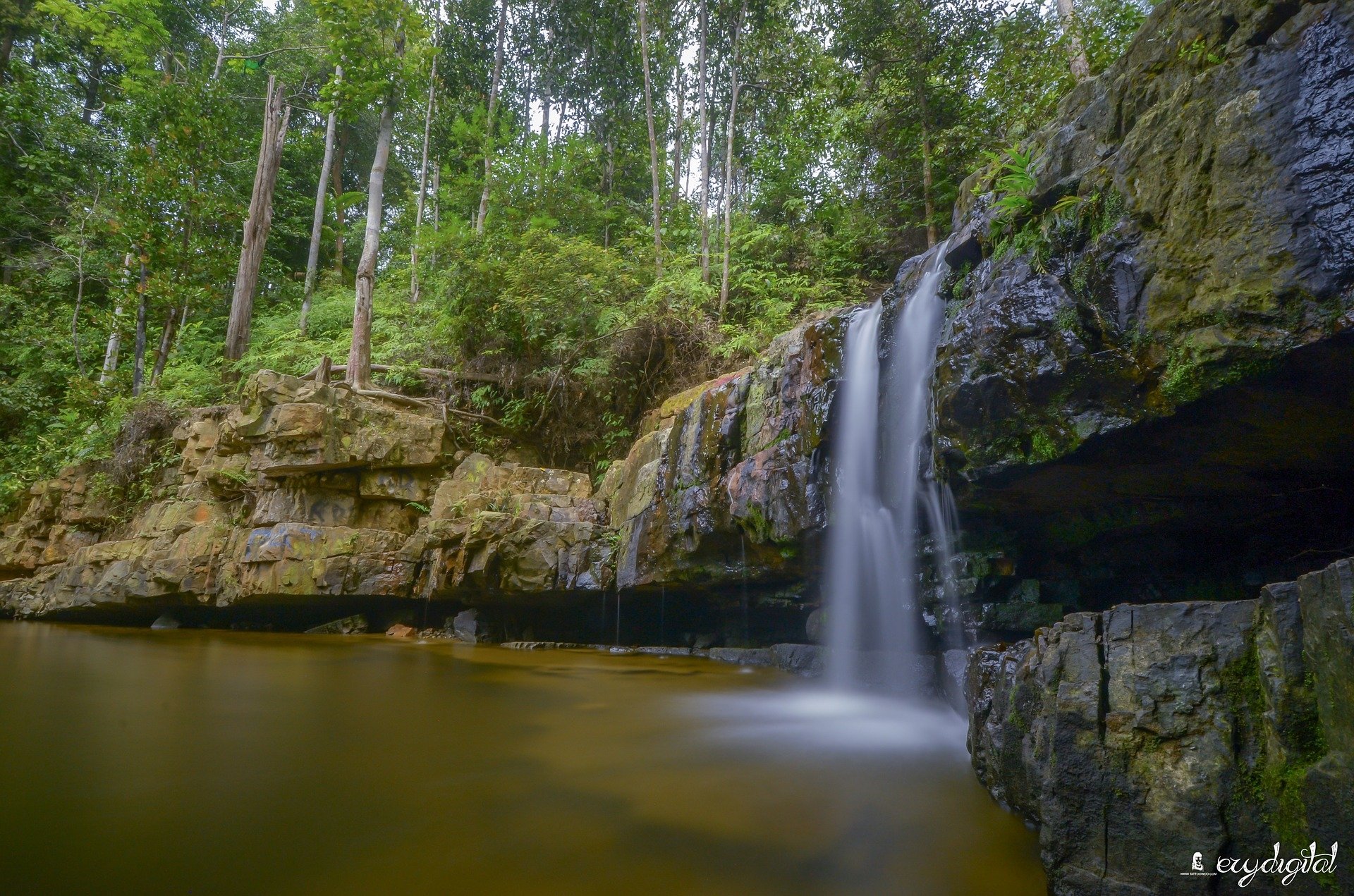 Download Tree Water Indonesia Forest Nature Waterfall HD Wallpaper by ...