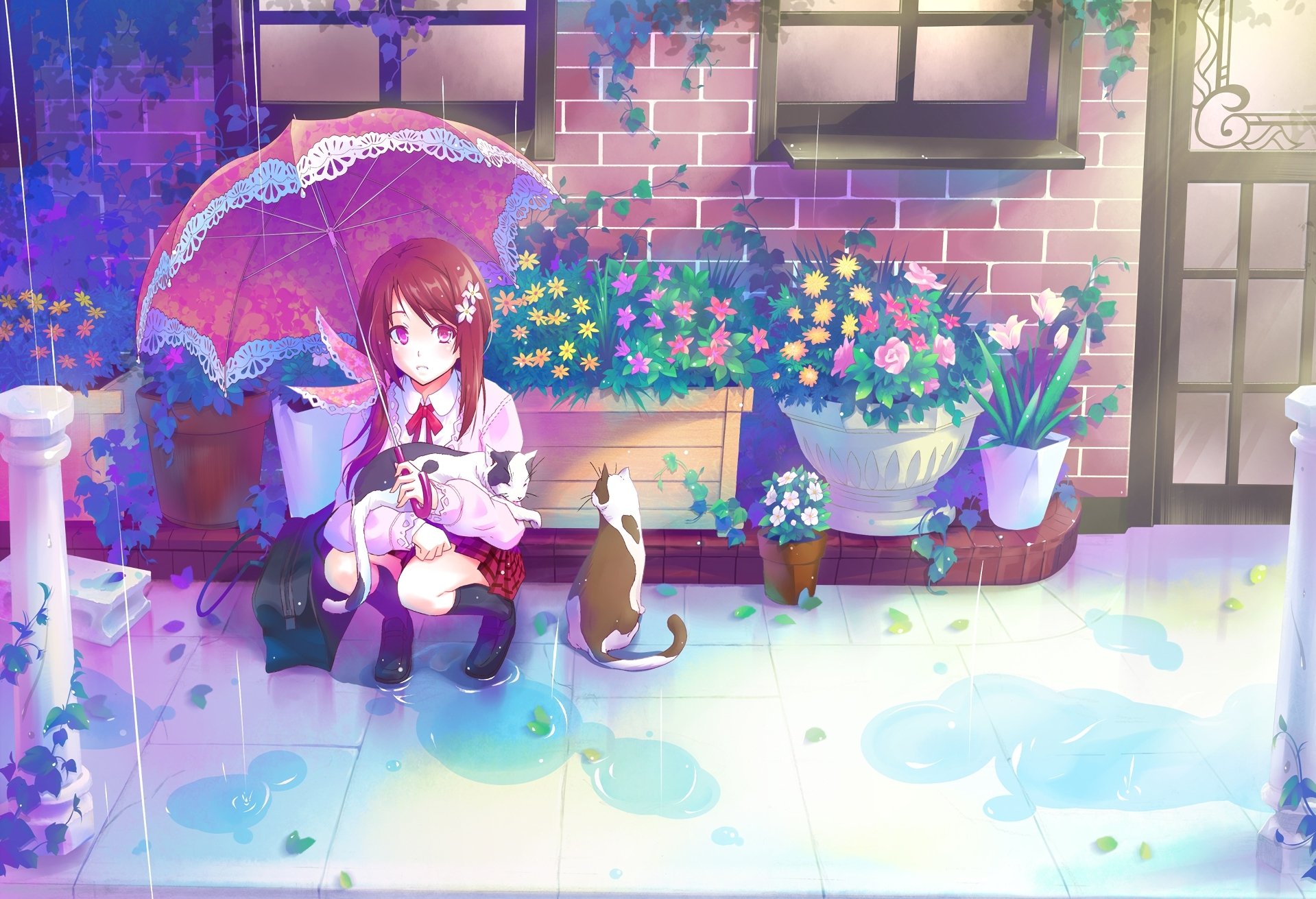 Anime Garden Rain - HD Wallpaper