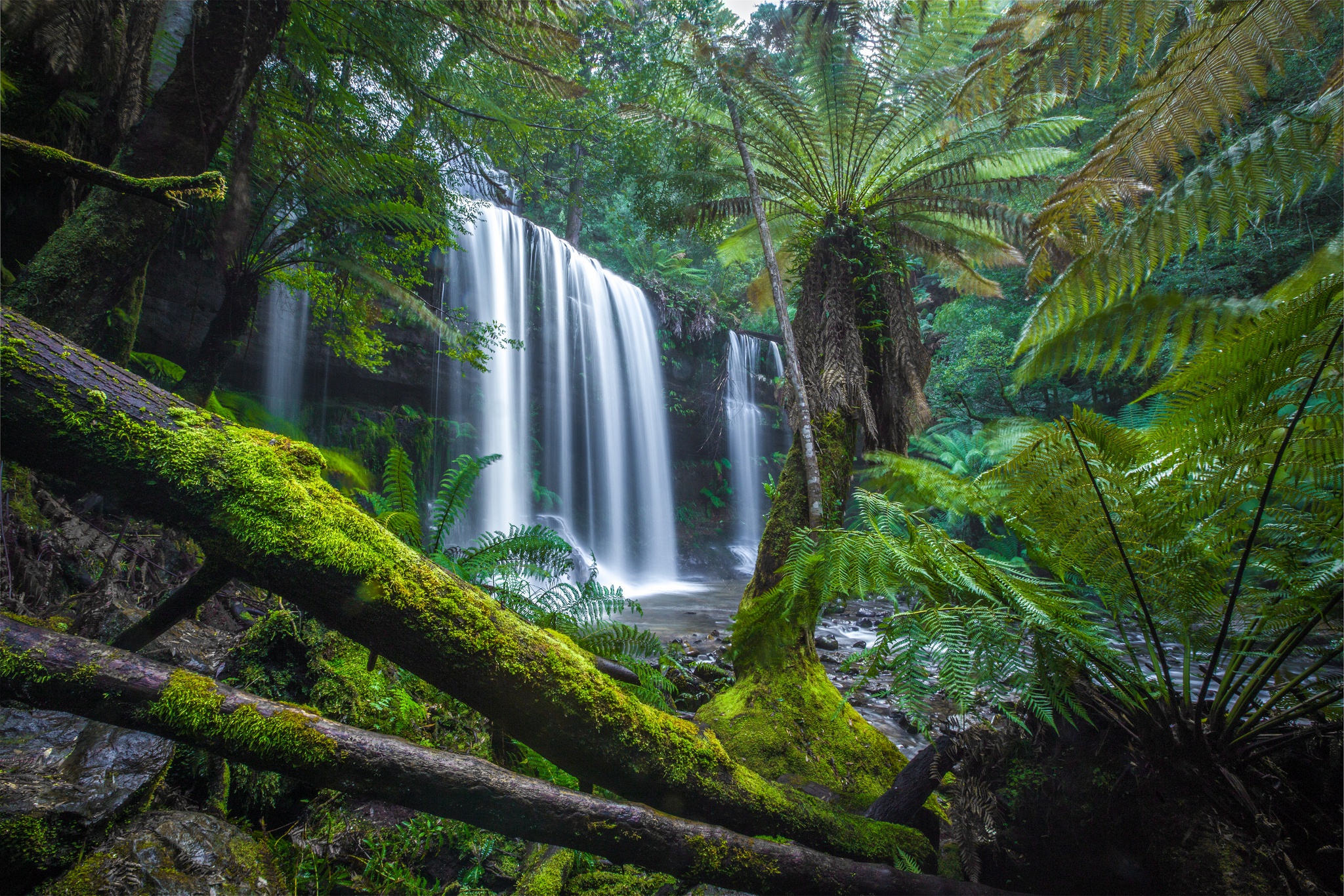 Lush Jungle Waterfall HD – Moss & Fern Serenity Wallpaper