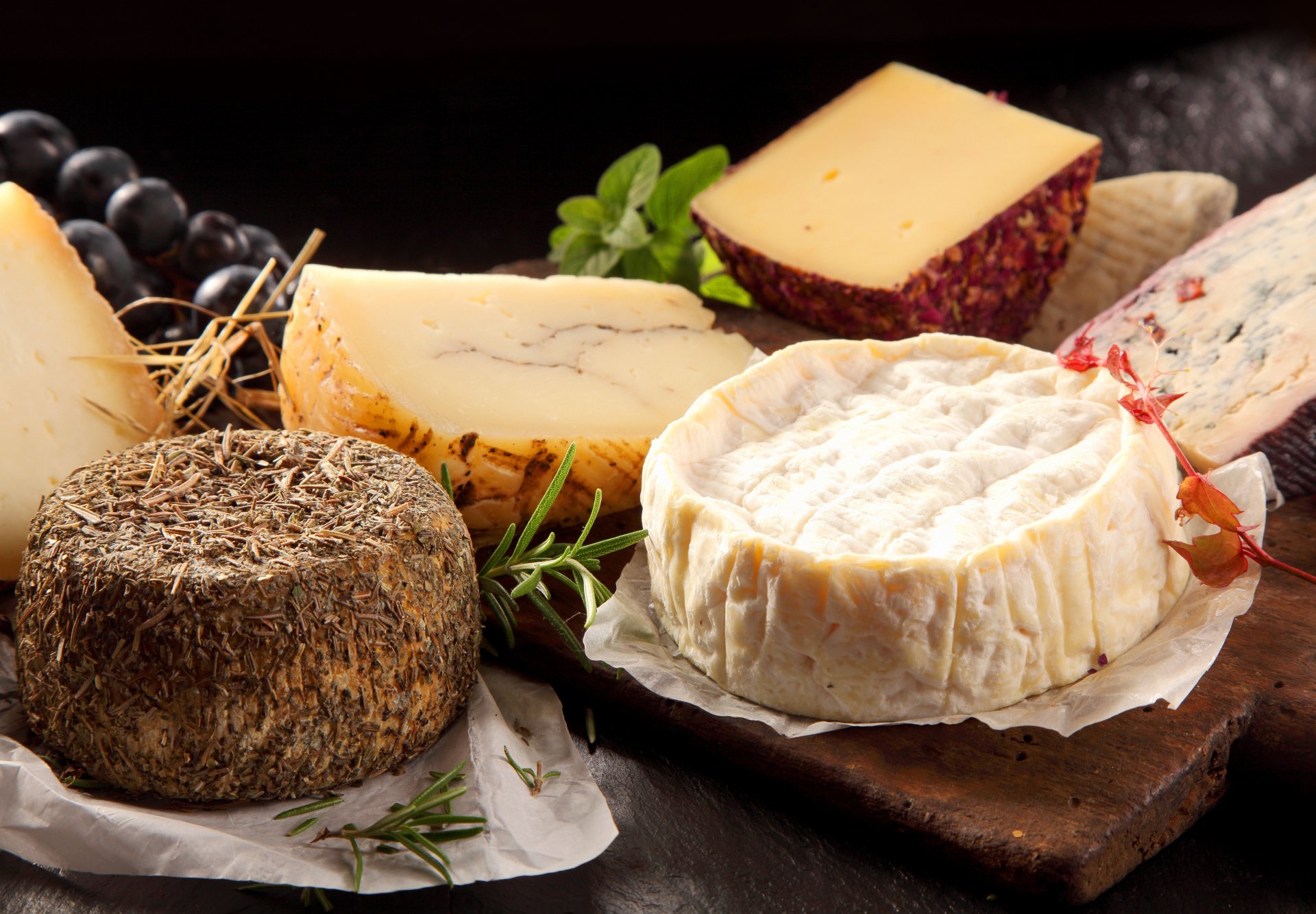Gourmet Cheese Still Life — 5K Ultra HD Wallpaper