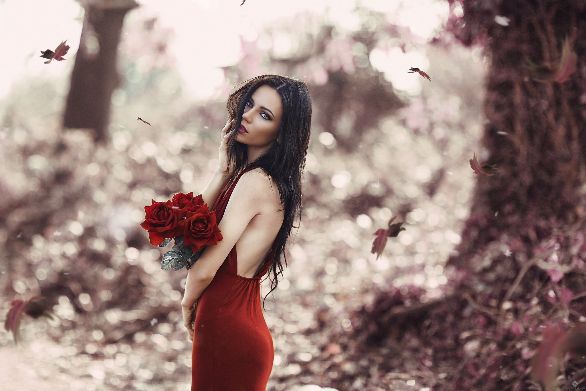 Download Depth Of Field Bokeh Fall Red Flower Red Dress Blue Eyes