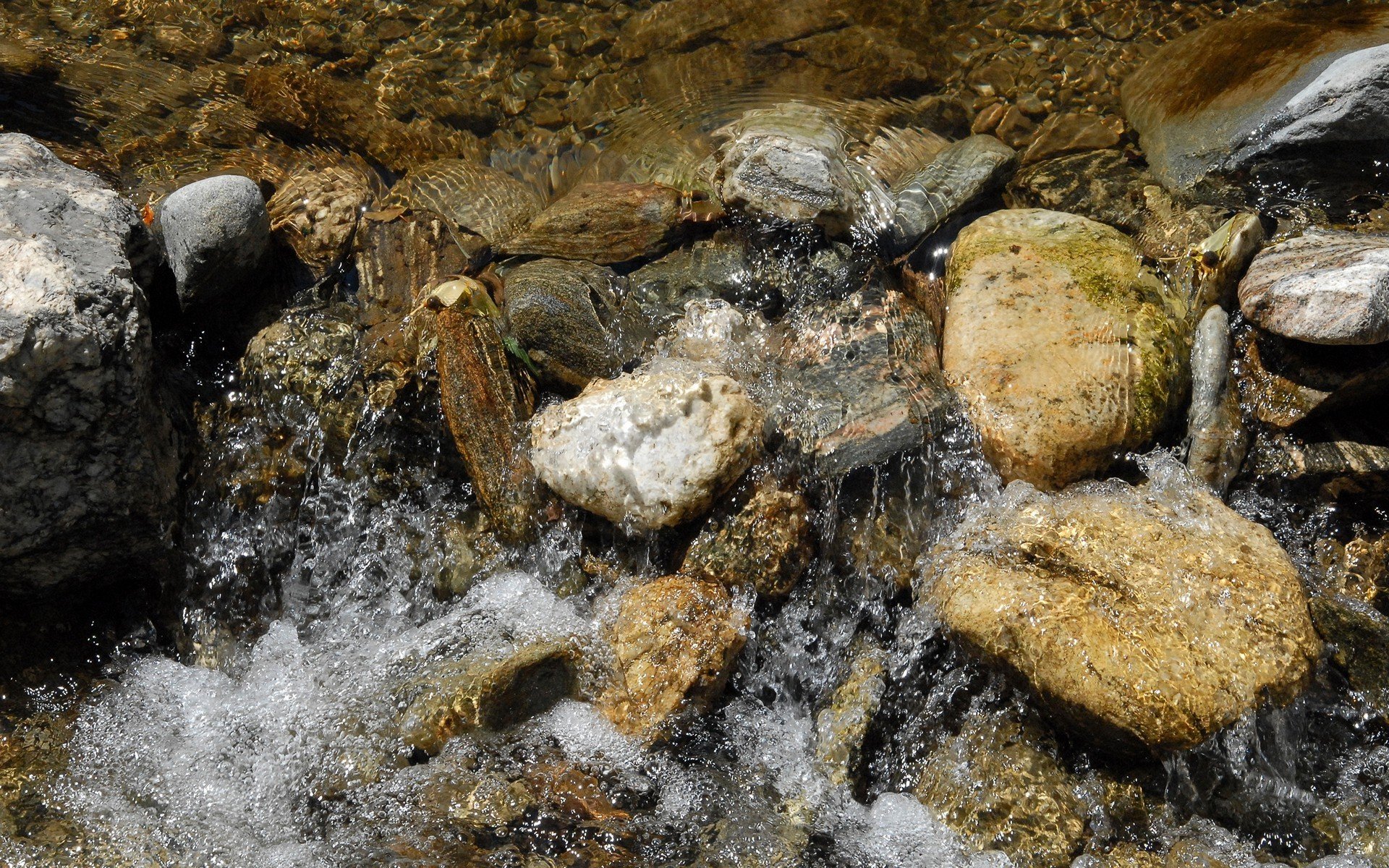Streamside Pebbles: HD Nature Photography of Flowing Creek Stones