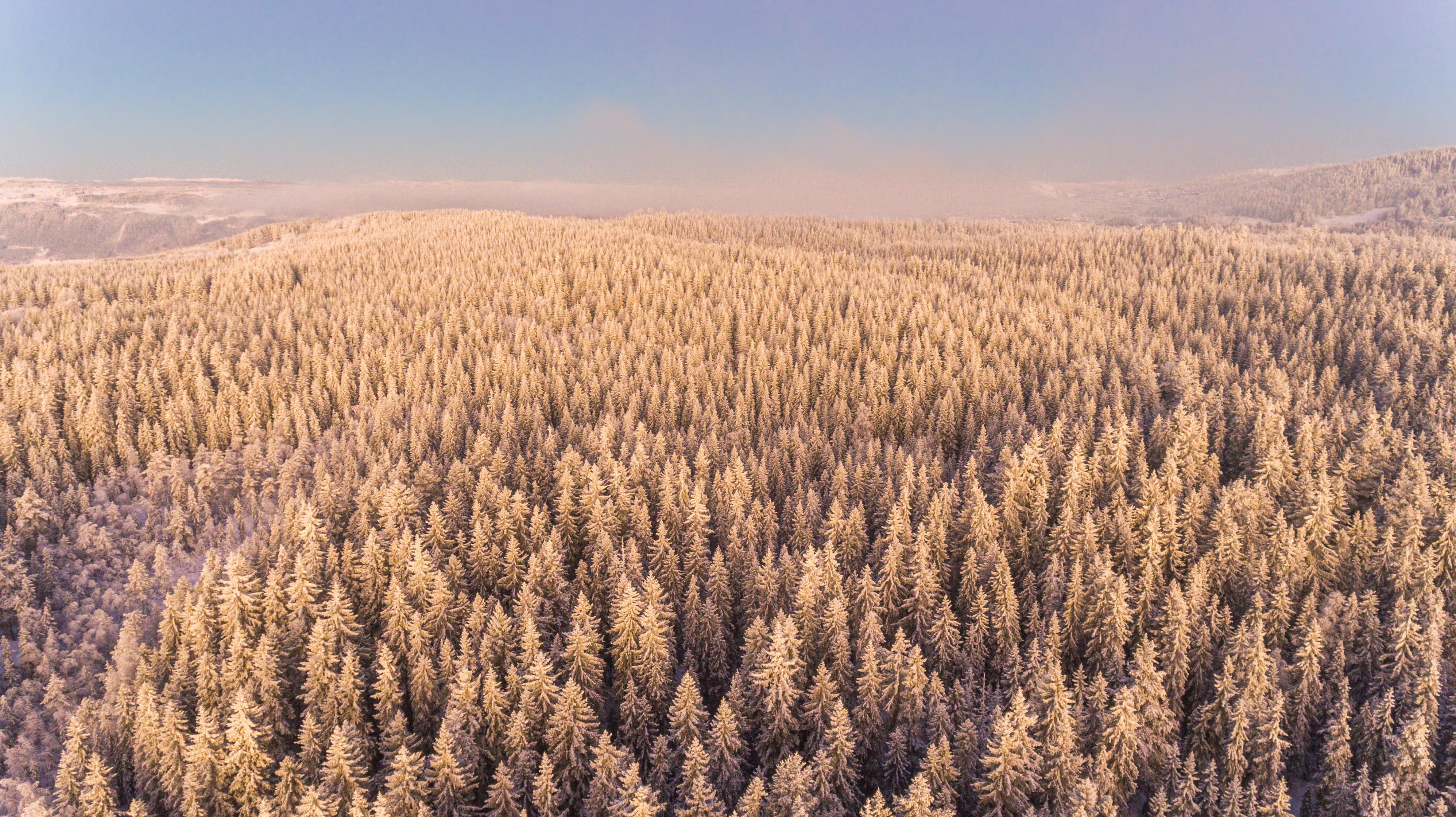 Download Horizon Winter Nature Aerial Forest 4k Ultra HD Wallpaper