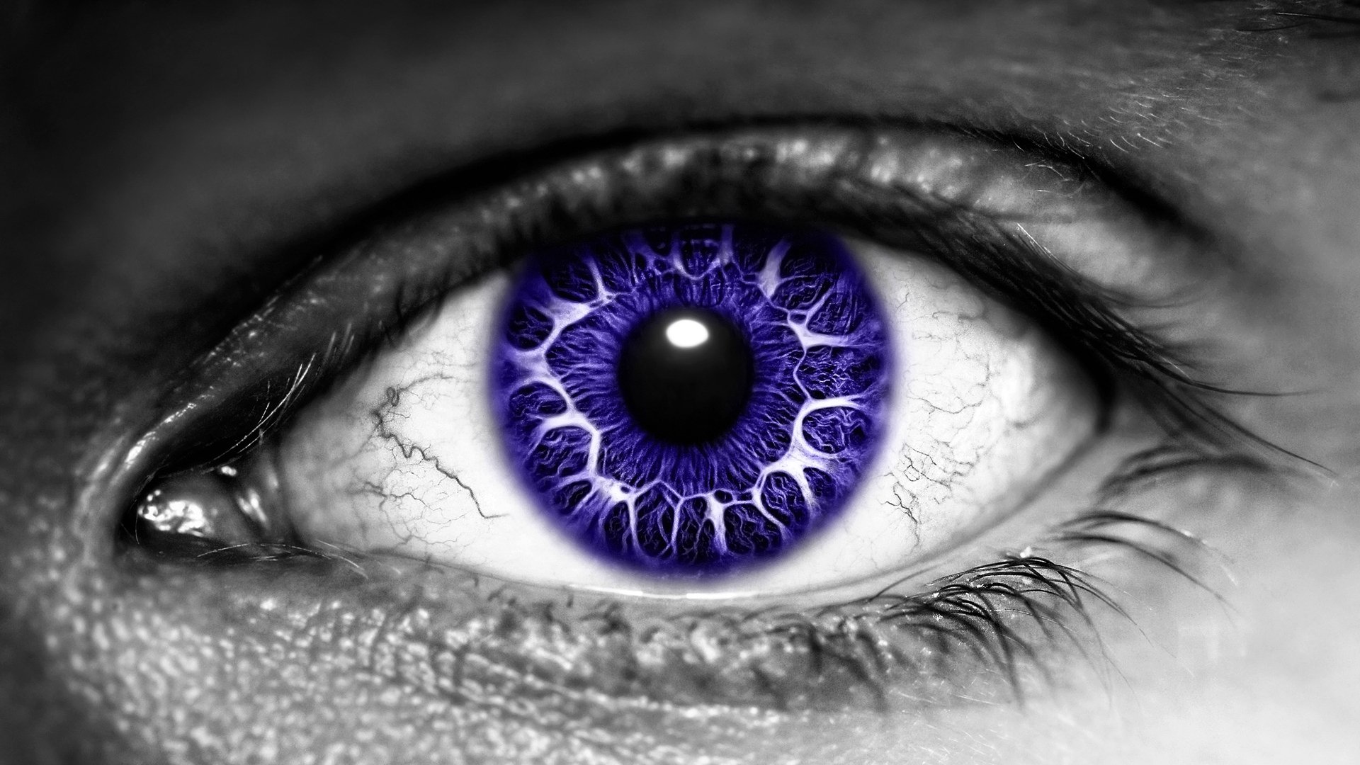 Download Artistic Eye HD Wallpaper