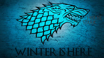 House Stark - Desktop Wallpapers, Phone Wallpaper, PFP, Gifs, and More!