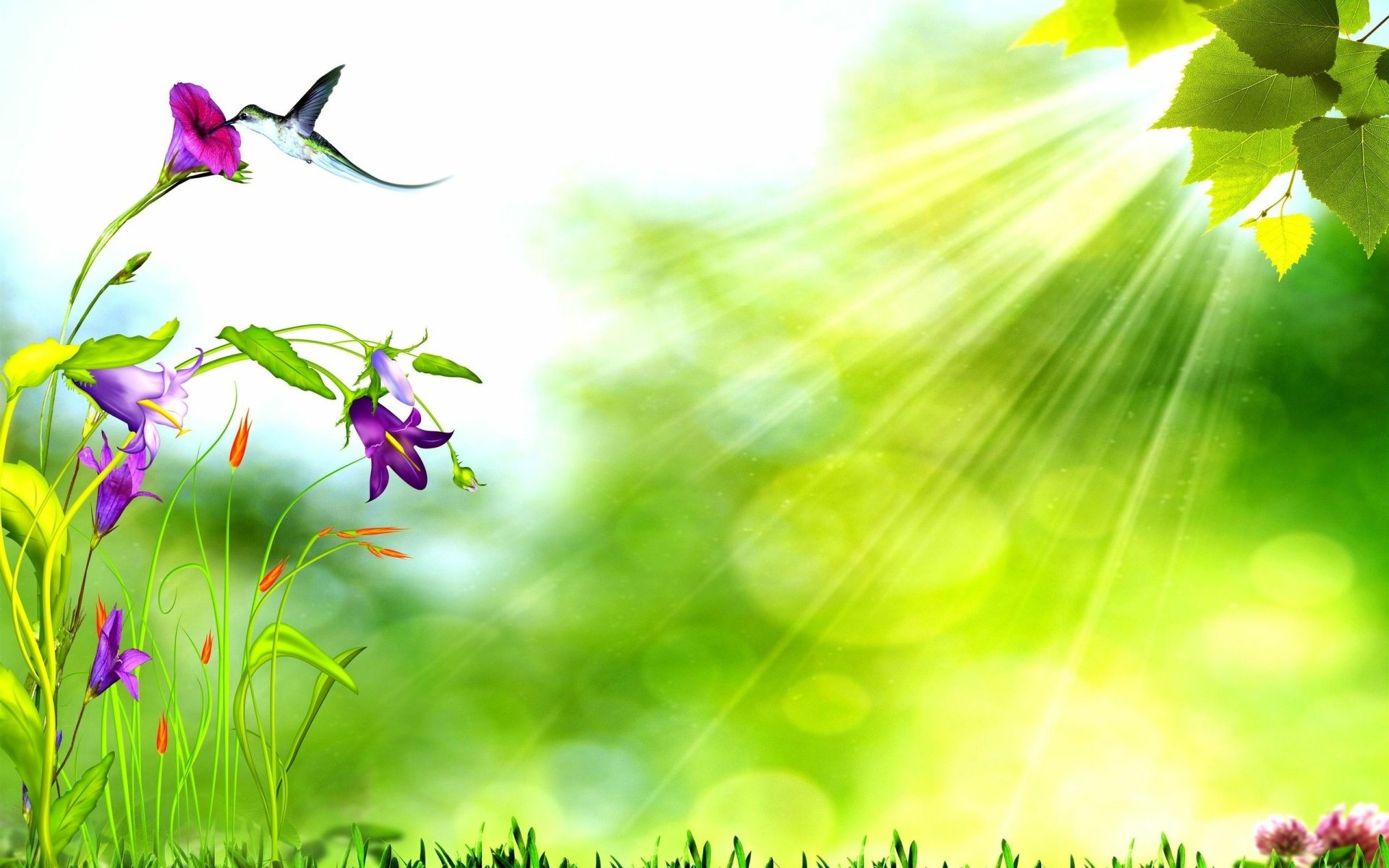 Spring Radiance: Artistic Hummingbird Dance in Sunshine and Bloom