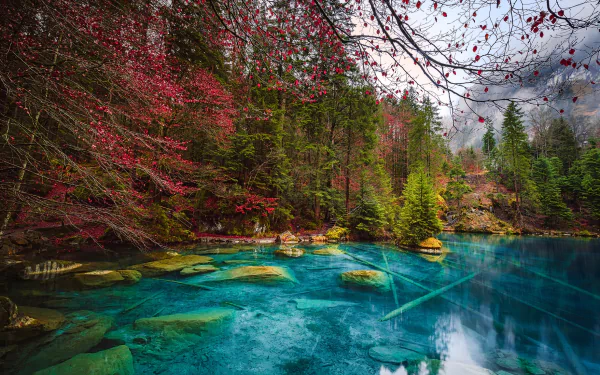 Kyoto Pagoda Garden Pond - 8K Ultra HD Wallpaper