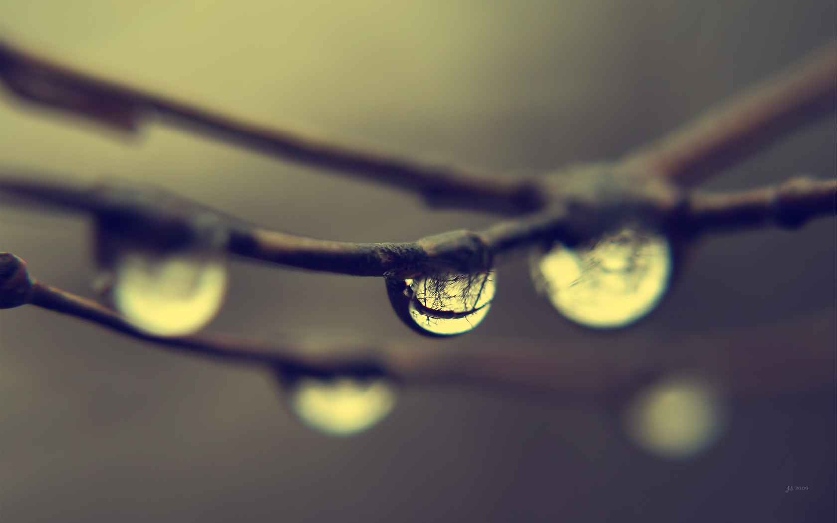 Nature’s Crystal Drops: HD Water Reflections