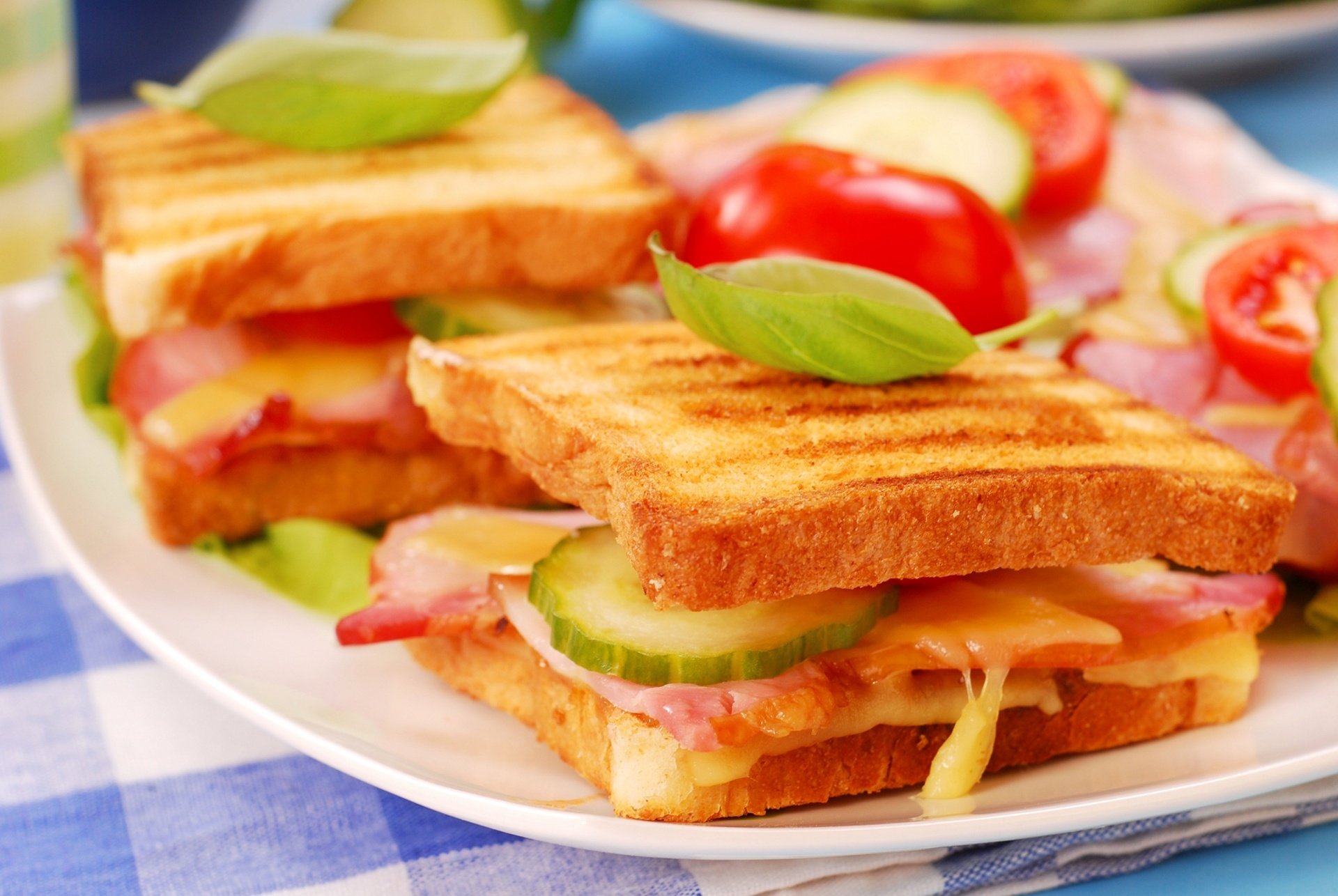 Crispy Grilled Toast Sandwich — HD Food Wallpaper