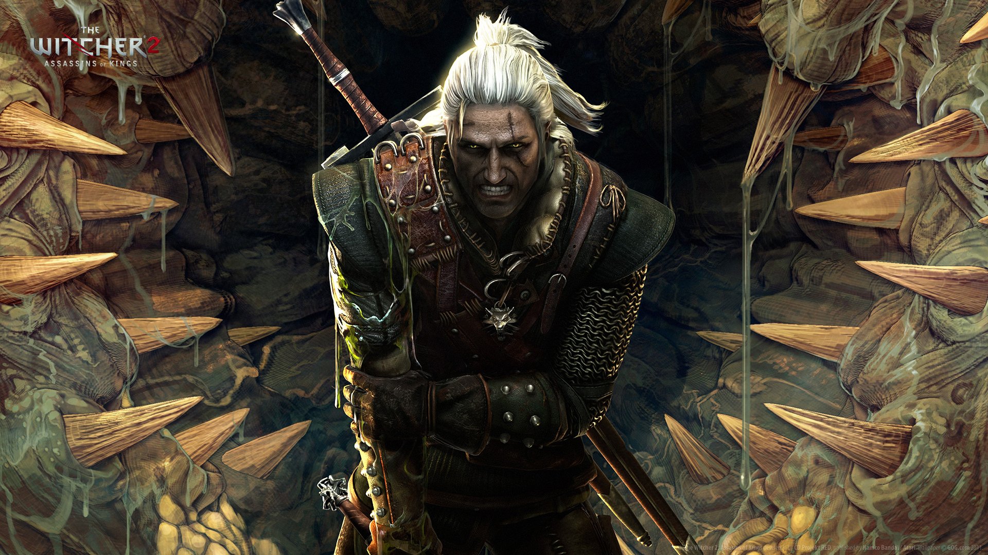 Download Geralt Of Rivia The Witcher Video Game The Witcher 2 ...