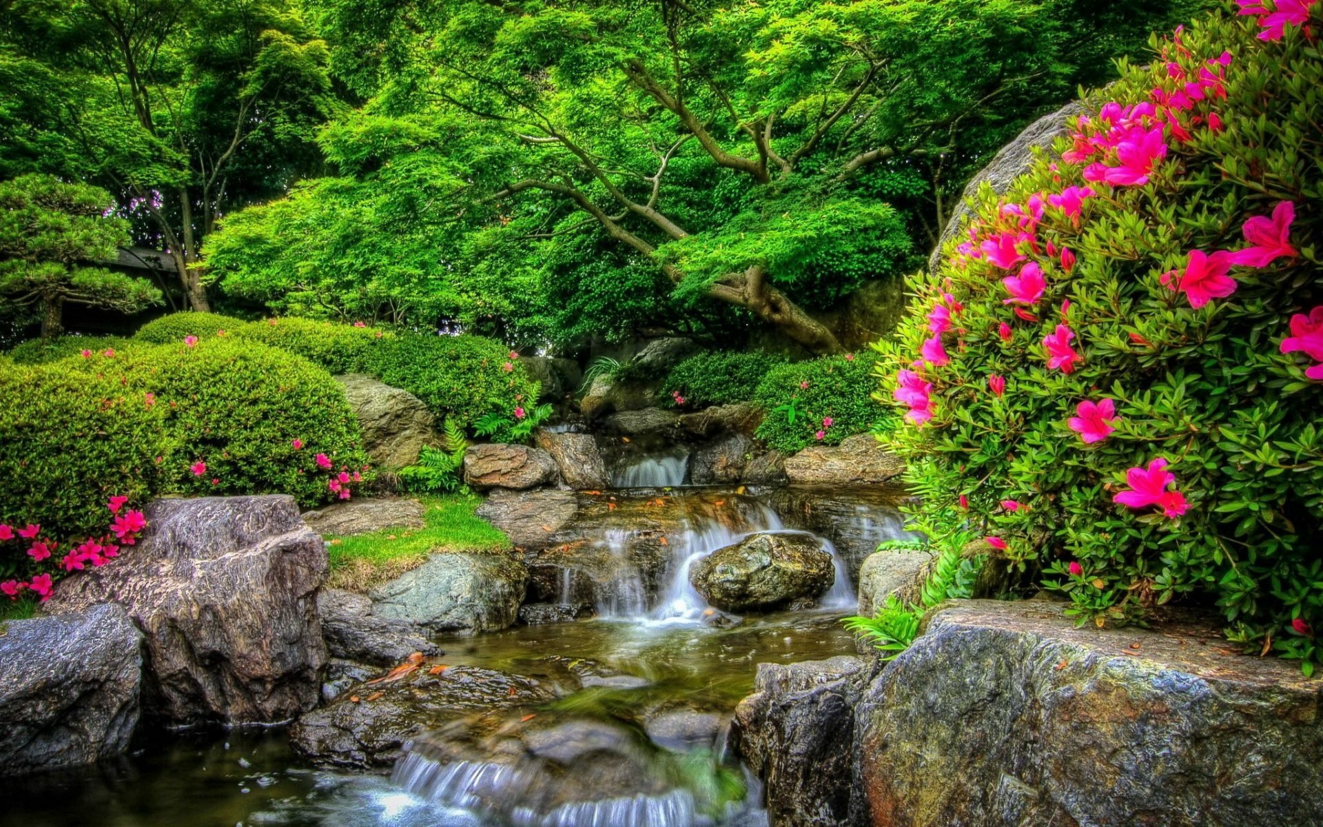 Download Stream Waterfall Flower Tree Spring Photography Park HD Wallpaper