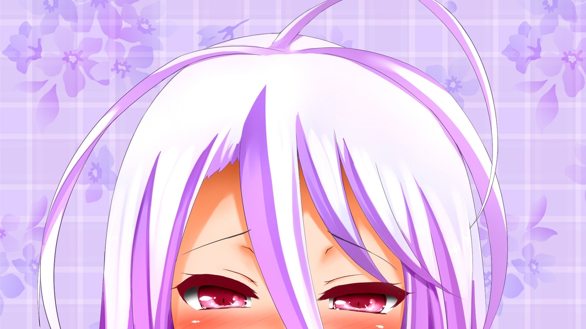Shiro Wallpaper No Game No Life