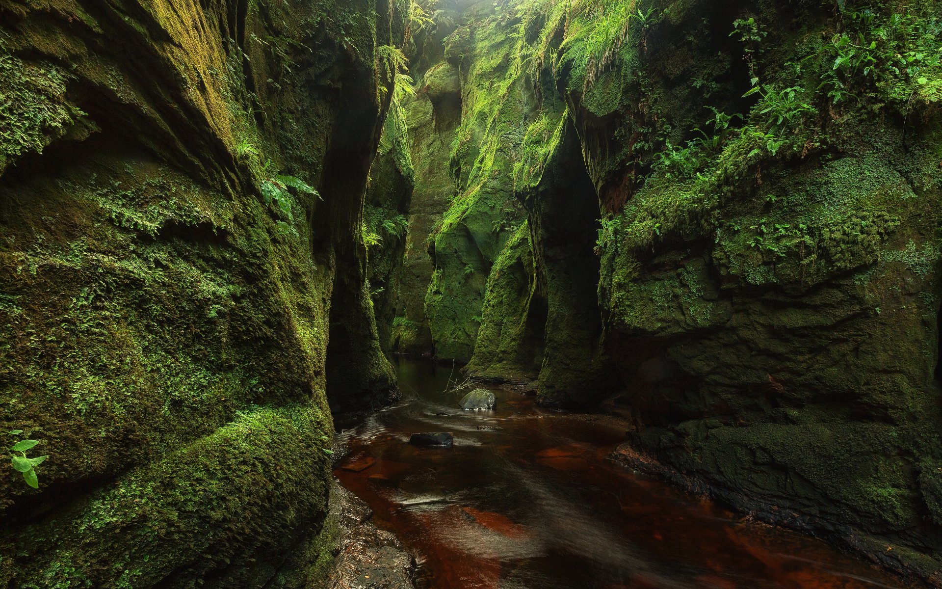 4K Ultra HD Moss-Covered Canyon Stream: Nature's Serene Hidden Oasis