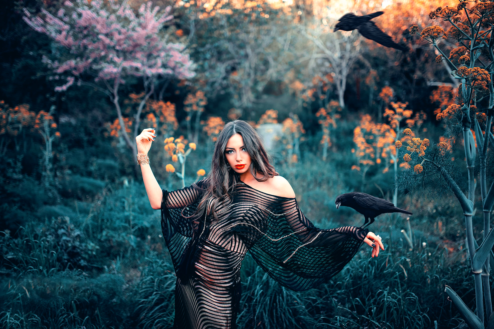 Download Blue Eyes Depth Of Field Lipstick Brunette Crow Dress Woman ...