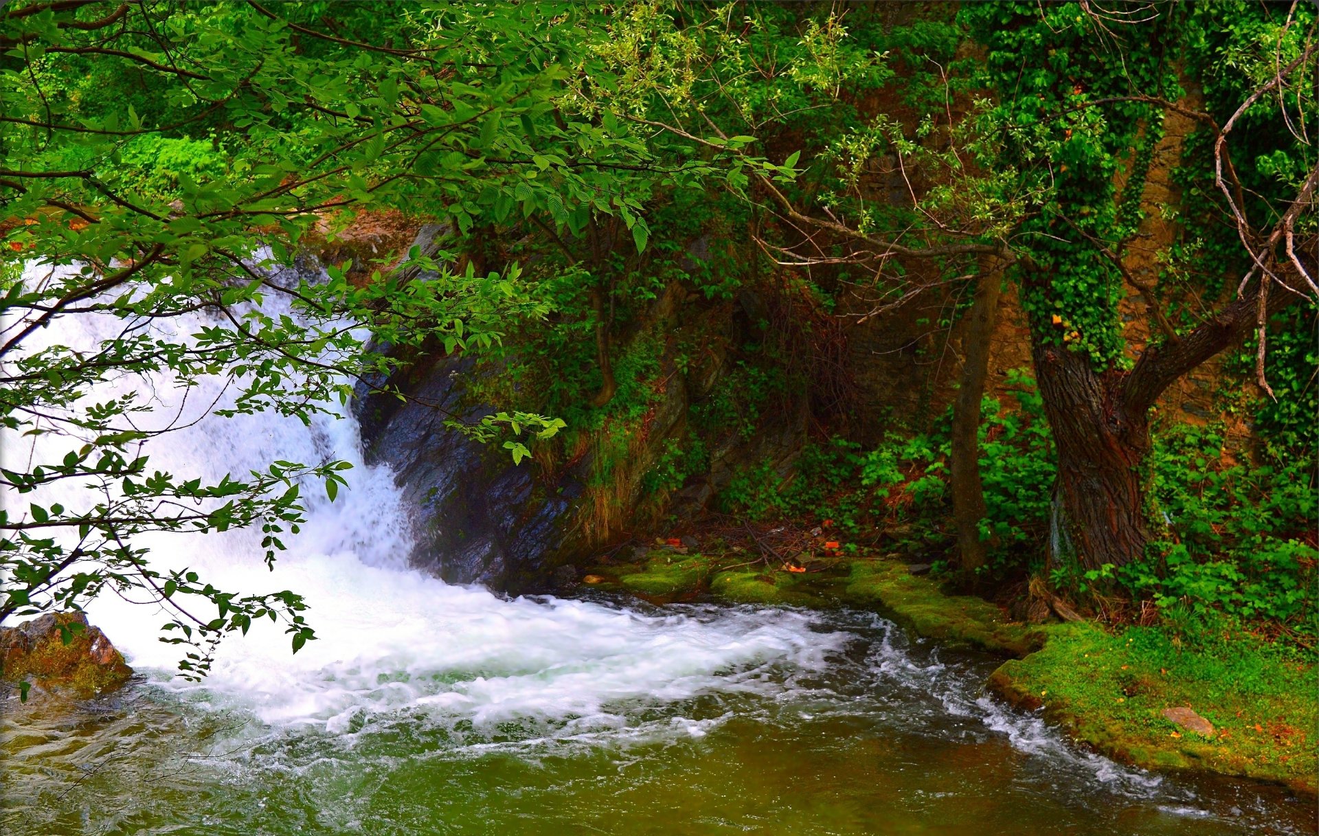 Download Green Tree Nature Waterfall HD Wallpaper